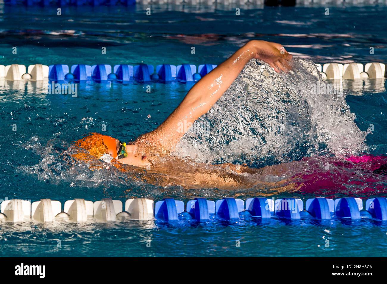 backstroke swimmer in the swiming pool Stock Photo - Alamy