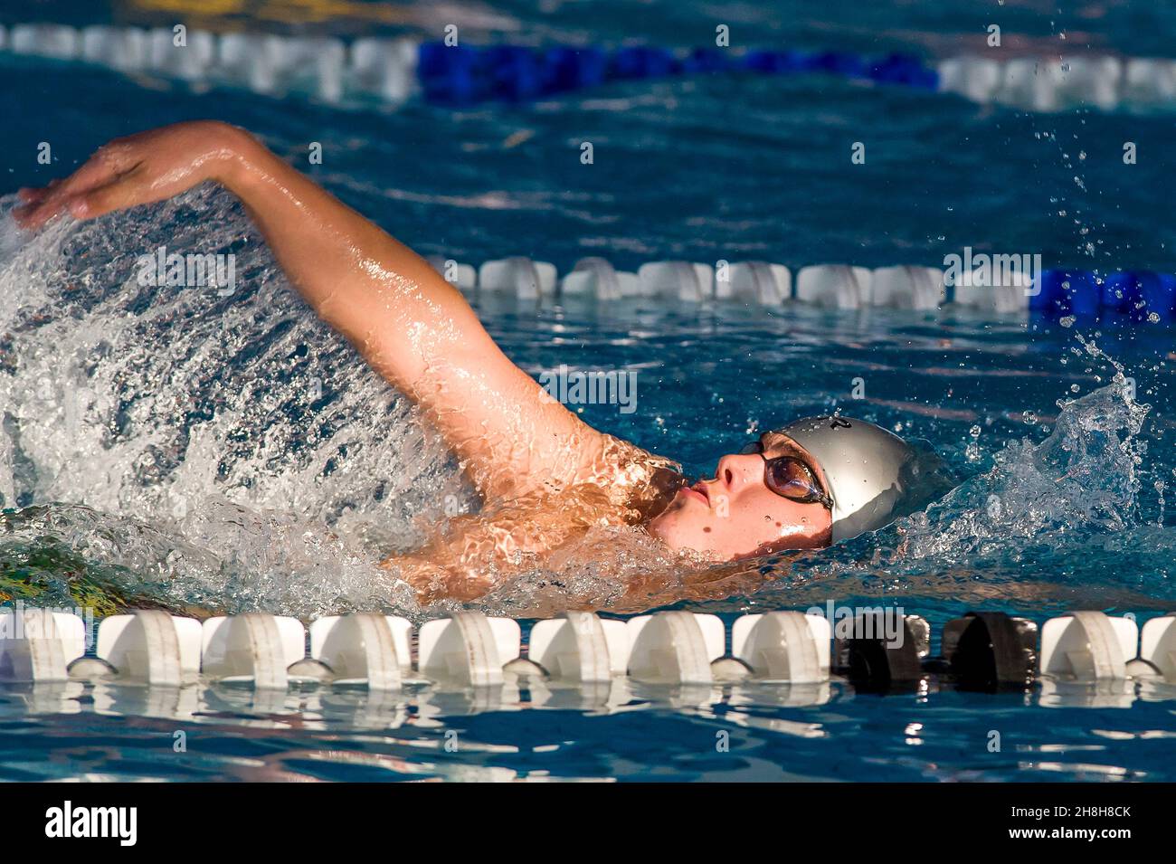 backstroke swimmer in the swiming pool Stock Photo - Alamy