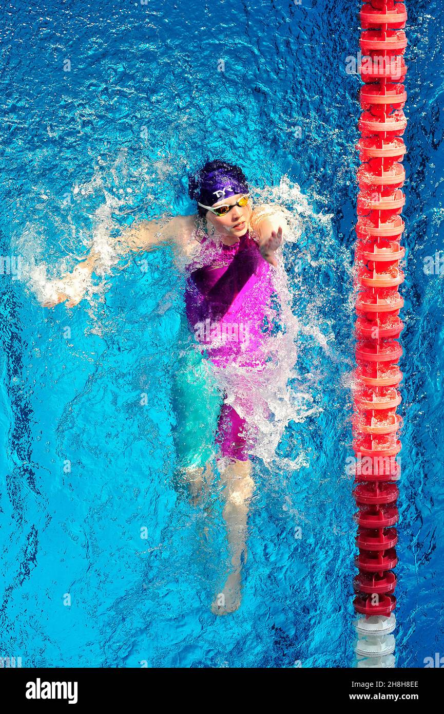 backstroke swimmer in the swiming pool Stock Photo - Alamy