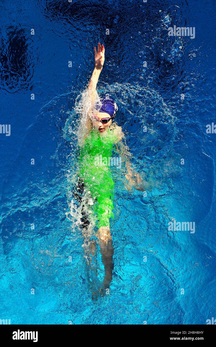 backstroke swimmer in the swiming pool Stock Photo - Alamy