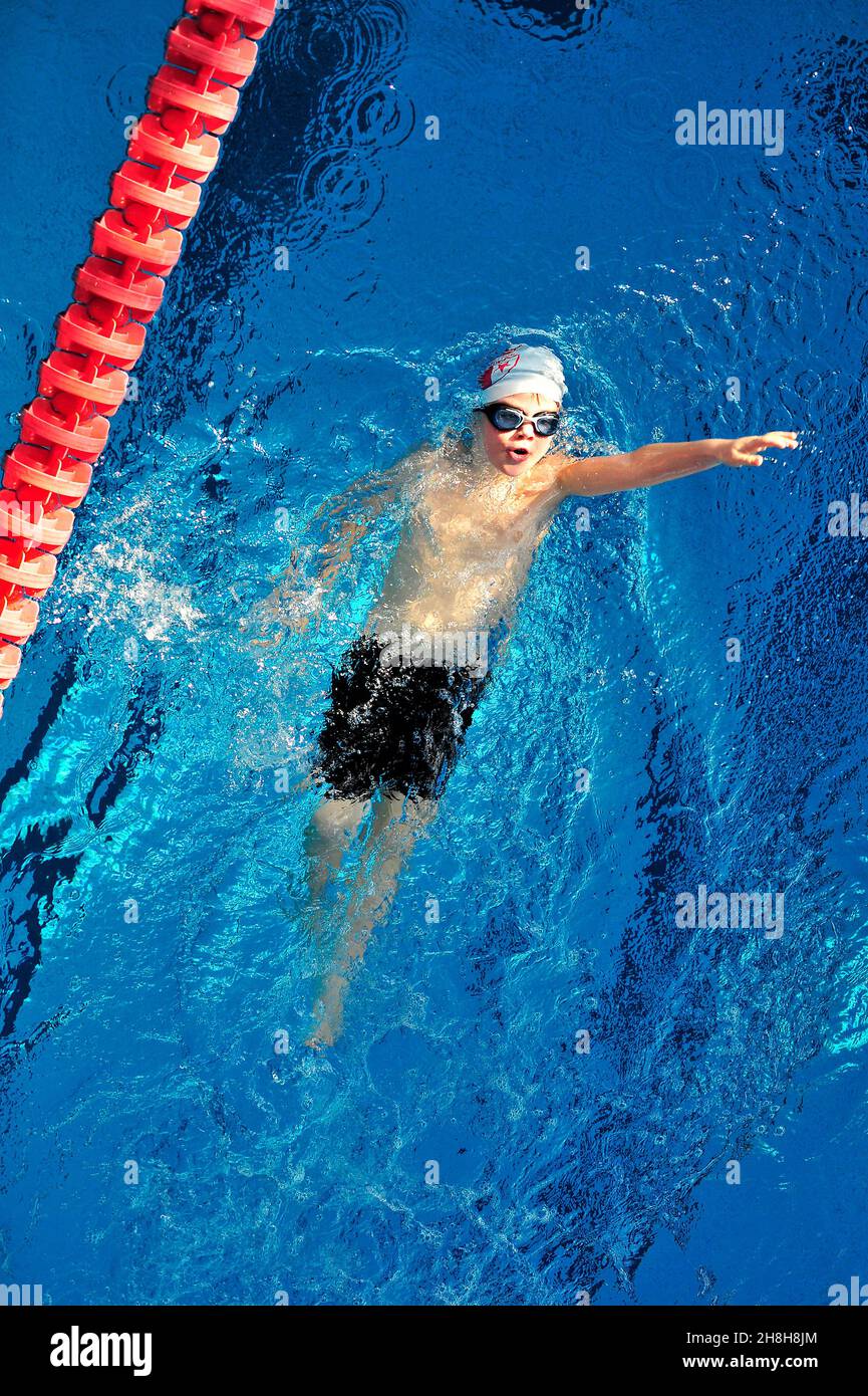 backstroke swimmer in the swiming pool Stock Photo - Alamy