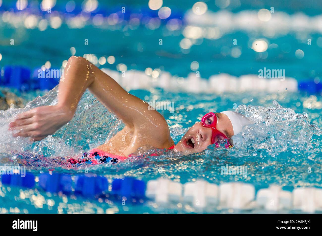 swimmer in the swiming pool Stock Photo - Alamy