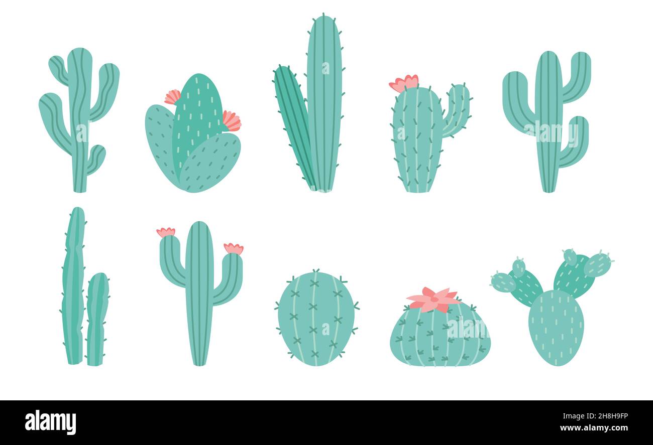 Vector set of cacti isolated on white background eps 10 Stock Vector ...
