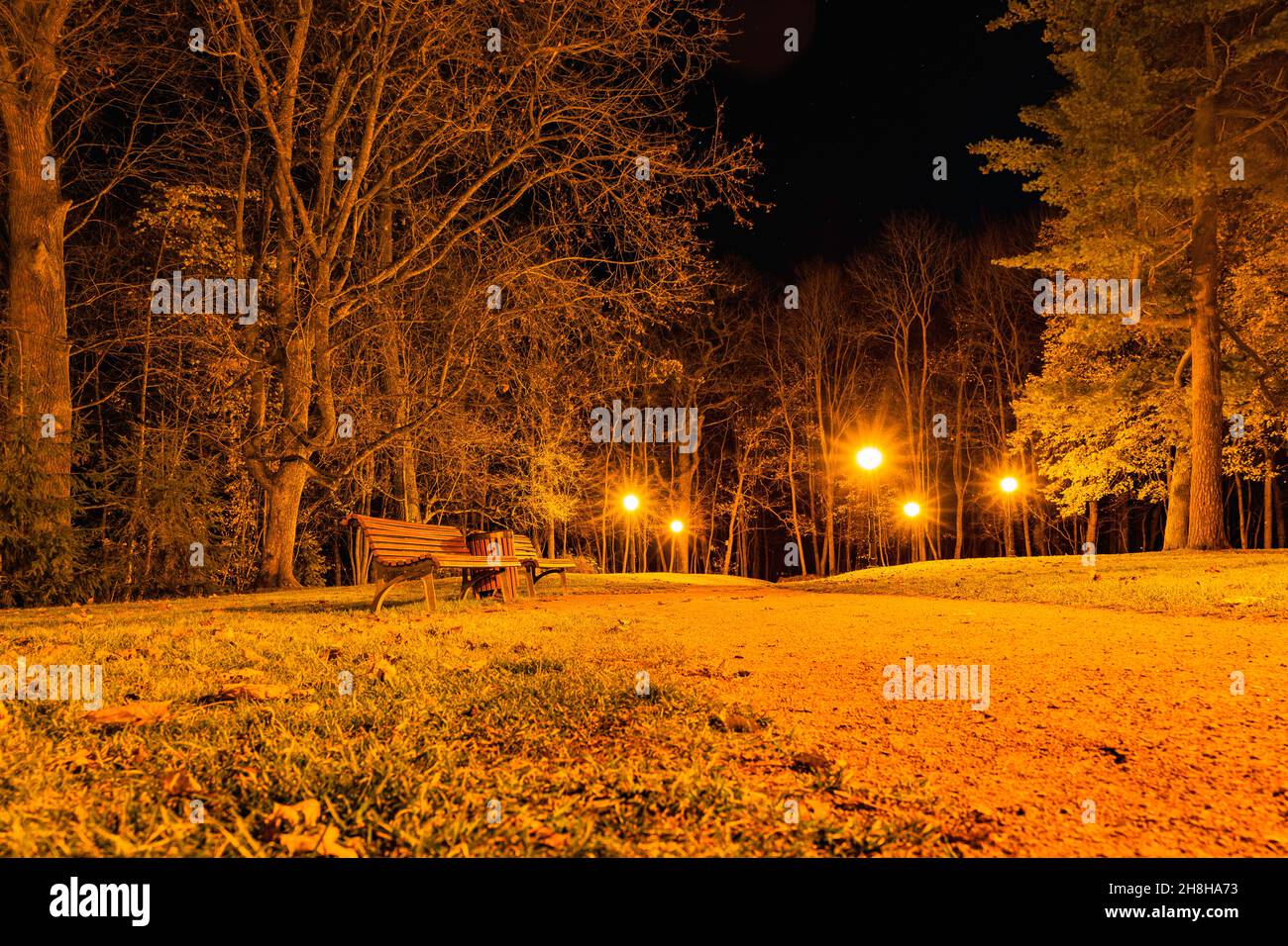 Pathway park night hi-res stock photography and images - Alamy