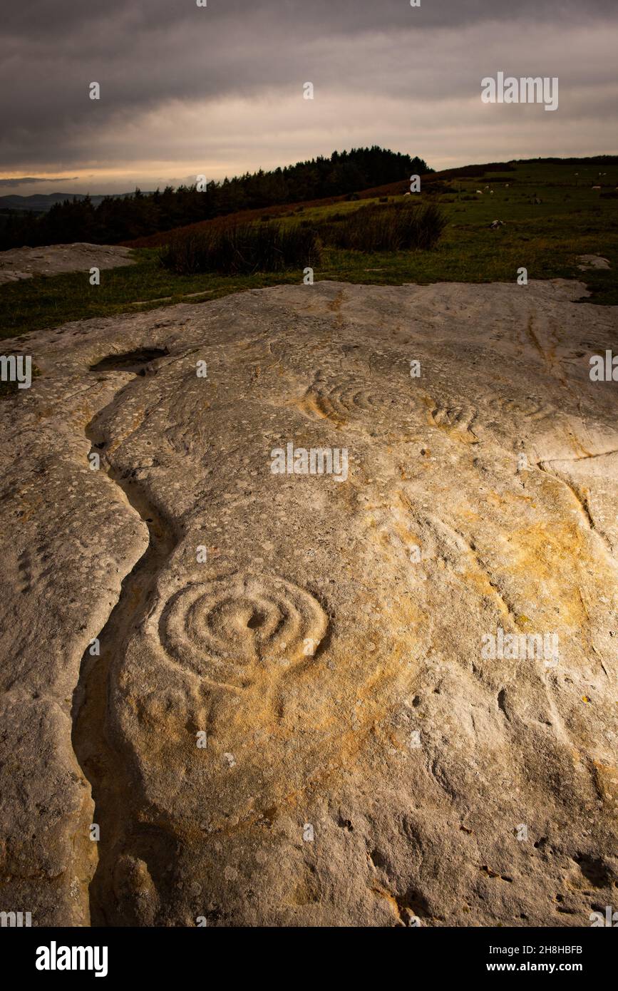 Neolithic rock art carved hi-res stock photography and images - Alamy