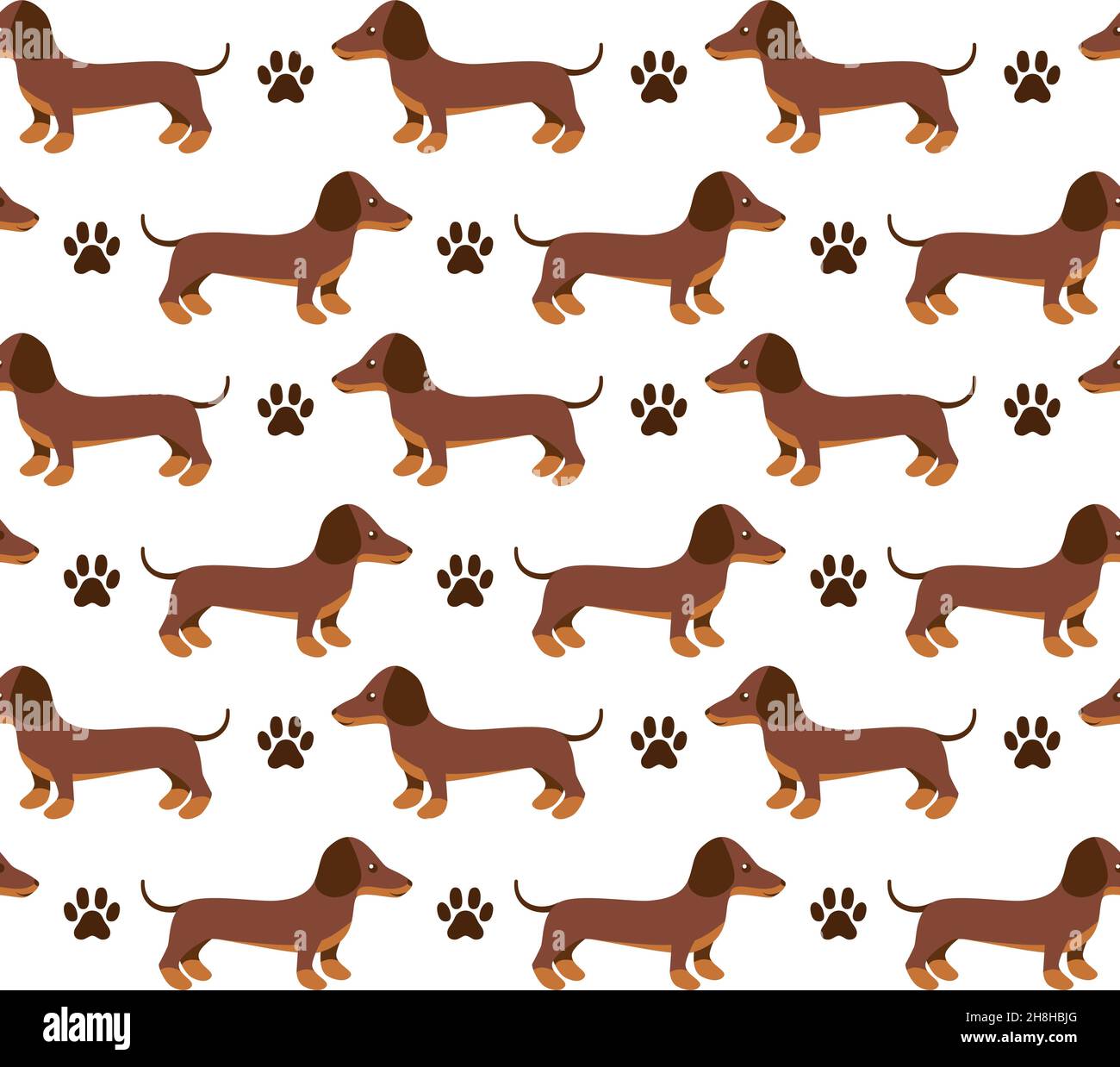 Vector seamless pattern in dachshund for print and web design on white ...