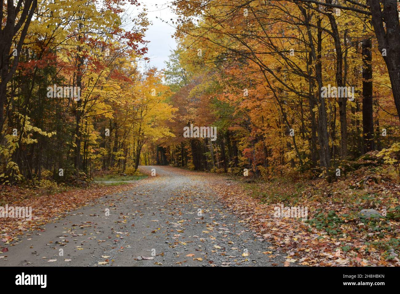 A country road in autumn, Sainte-Apolline, Québec, Canada Stock Photo ...