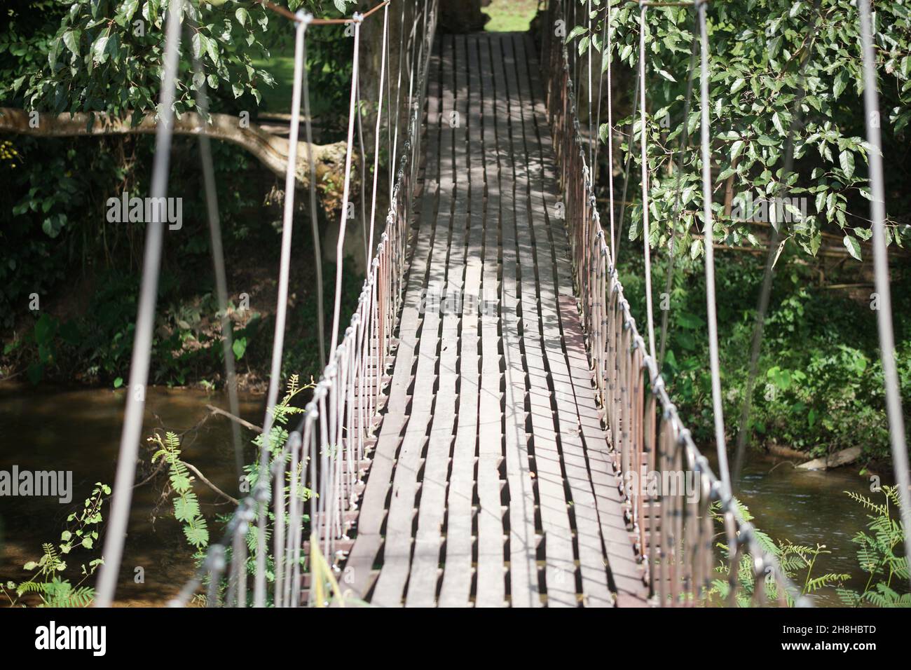 wooden hanging suspended rope bridge in garden park Stock Photo - Alamy