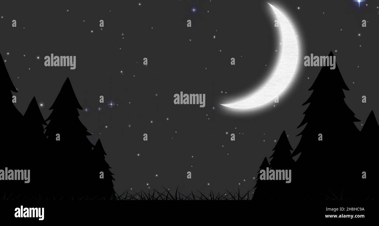 Digital composite of crescent moon and star field at night with copy ...