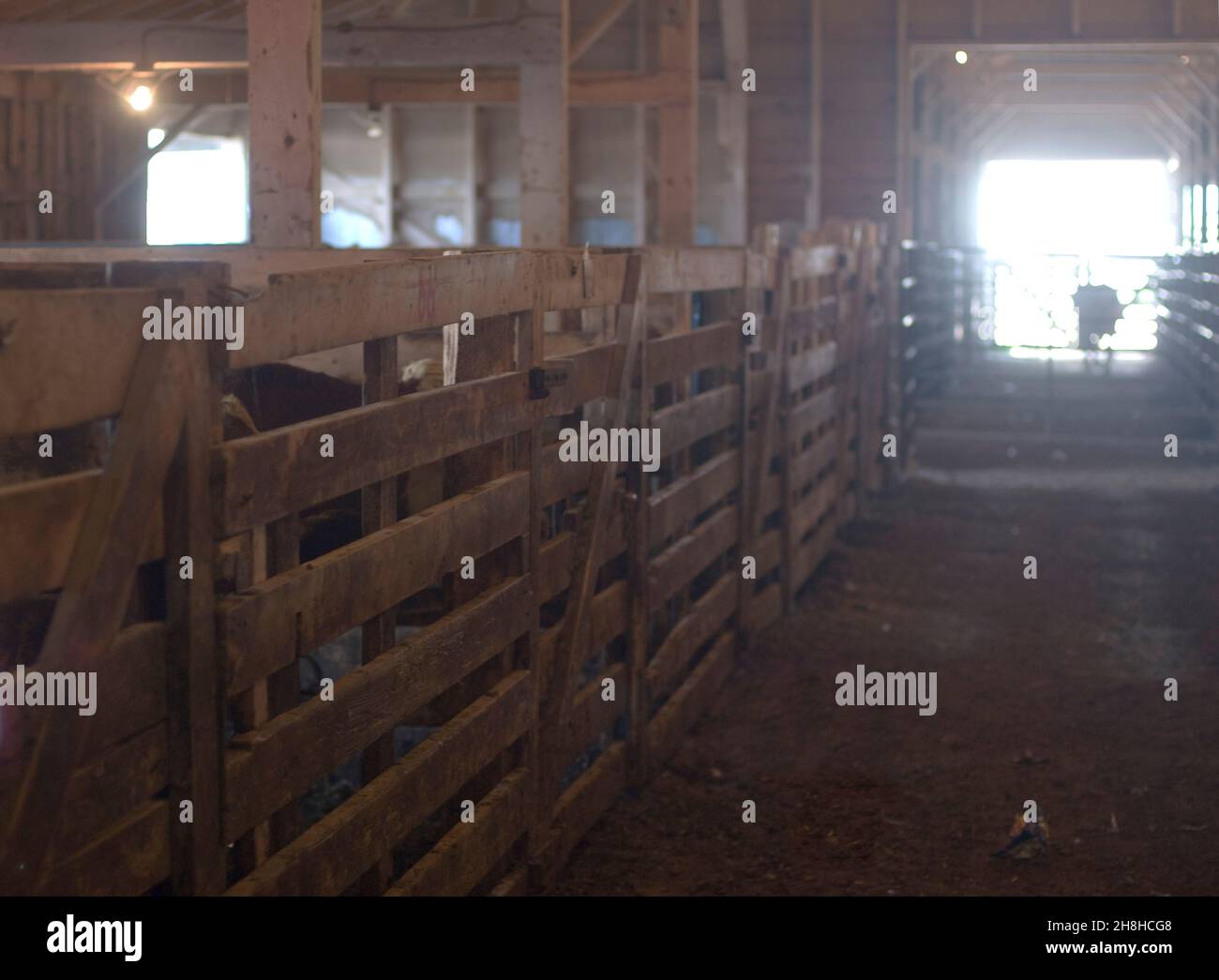 Keady Market Ontario Canada Stock Photo - Alamy