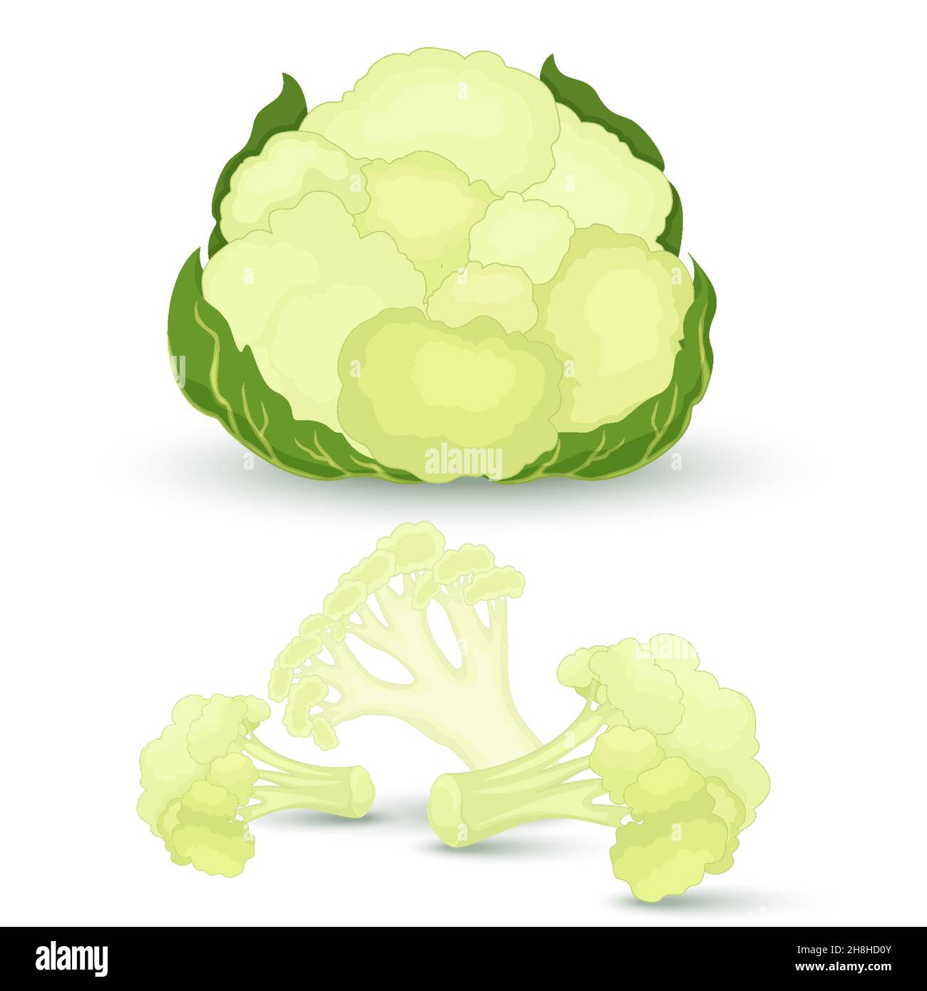 Fresh cauliflower whole, cut, inflorescence isolated on white ...