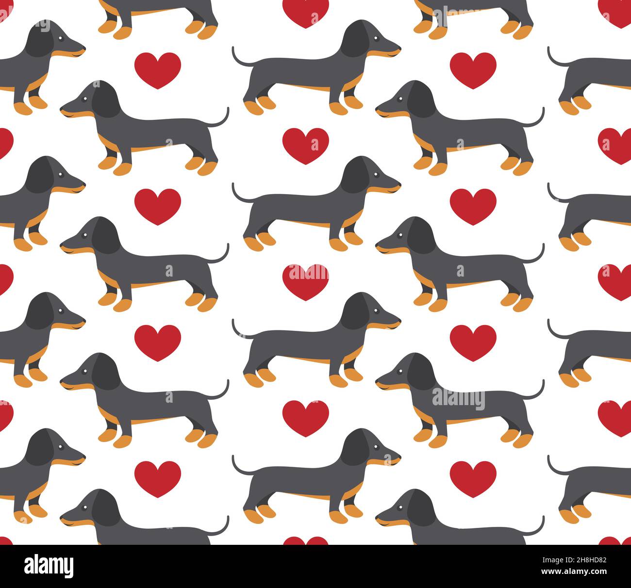 Vector seamless pattern in dachshund for print and web design on white ...