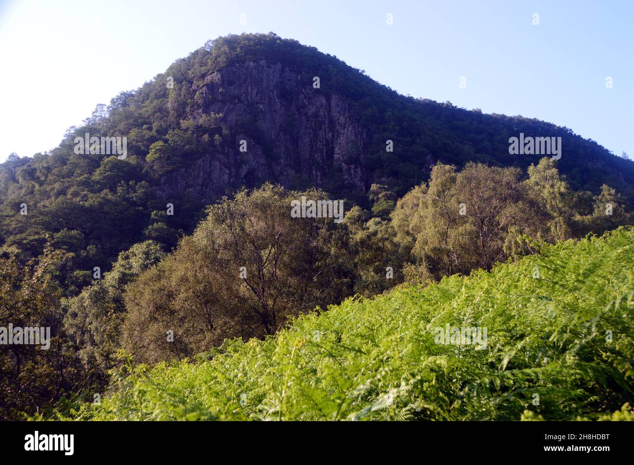 The Wooded Greatend Crag below 'King's How' on the Wainwright 'Grange ...