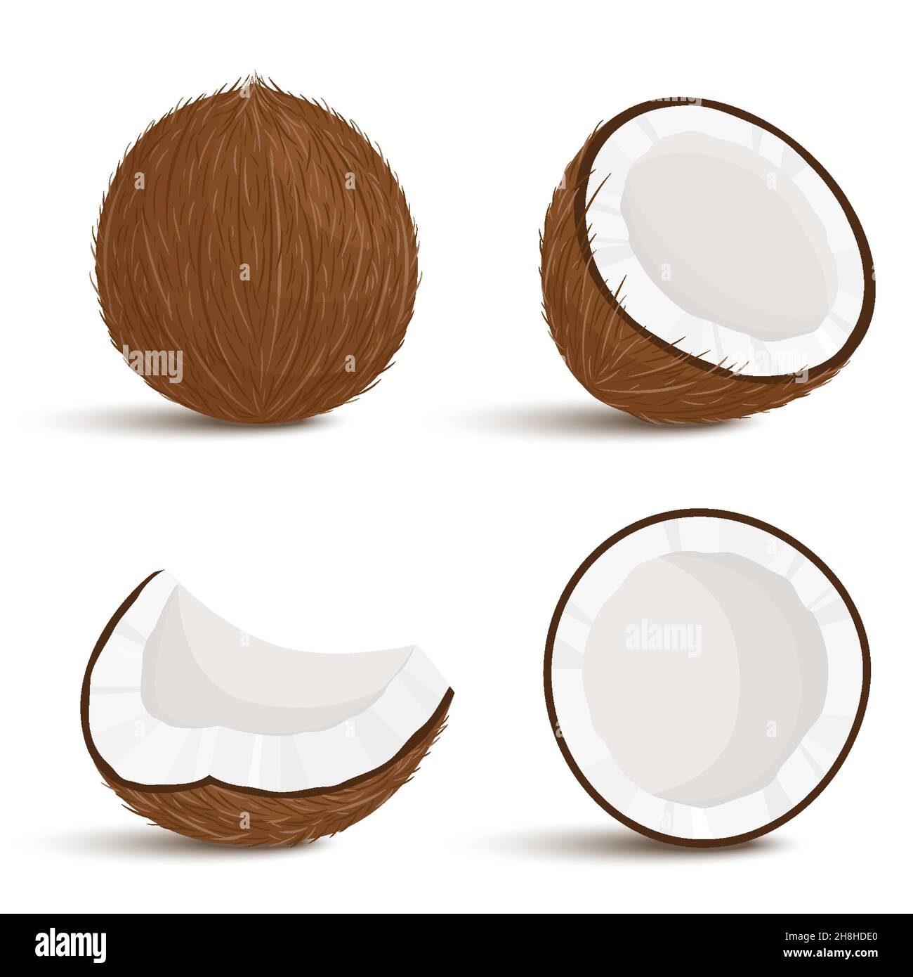 Set of exotic whole, half, cut pieces of coconut fruit isolated on ...