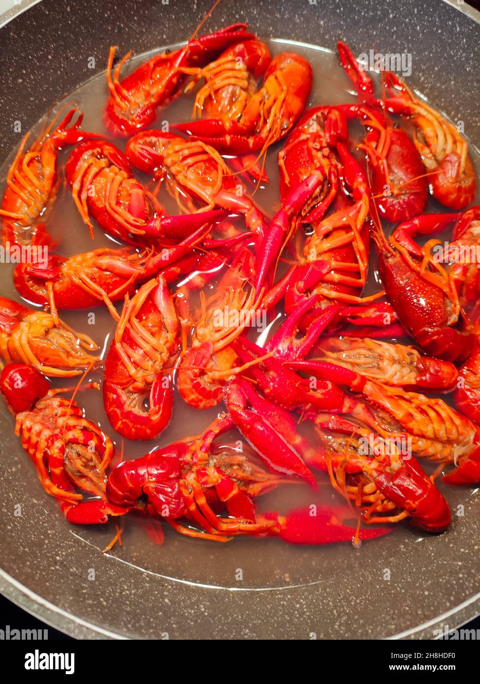 Boiled crawfish on a grey plate. Crawfish resembles and taste like ...