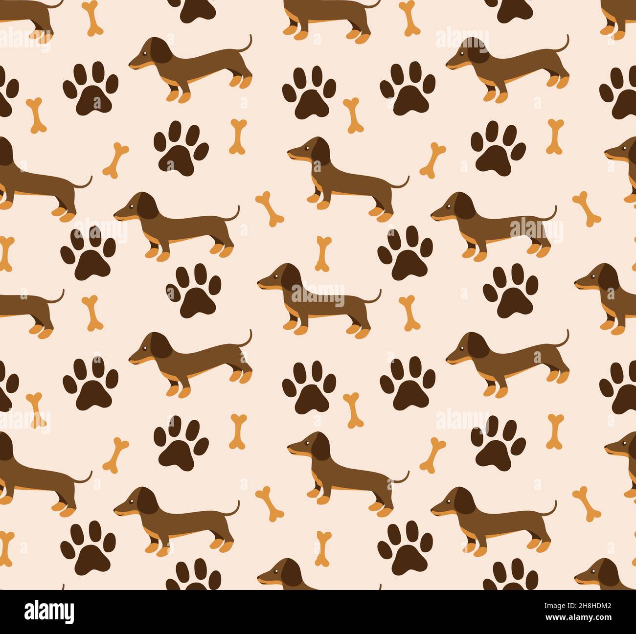 Vector seamless pattern in dachshund for print and web design on white ...