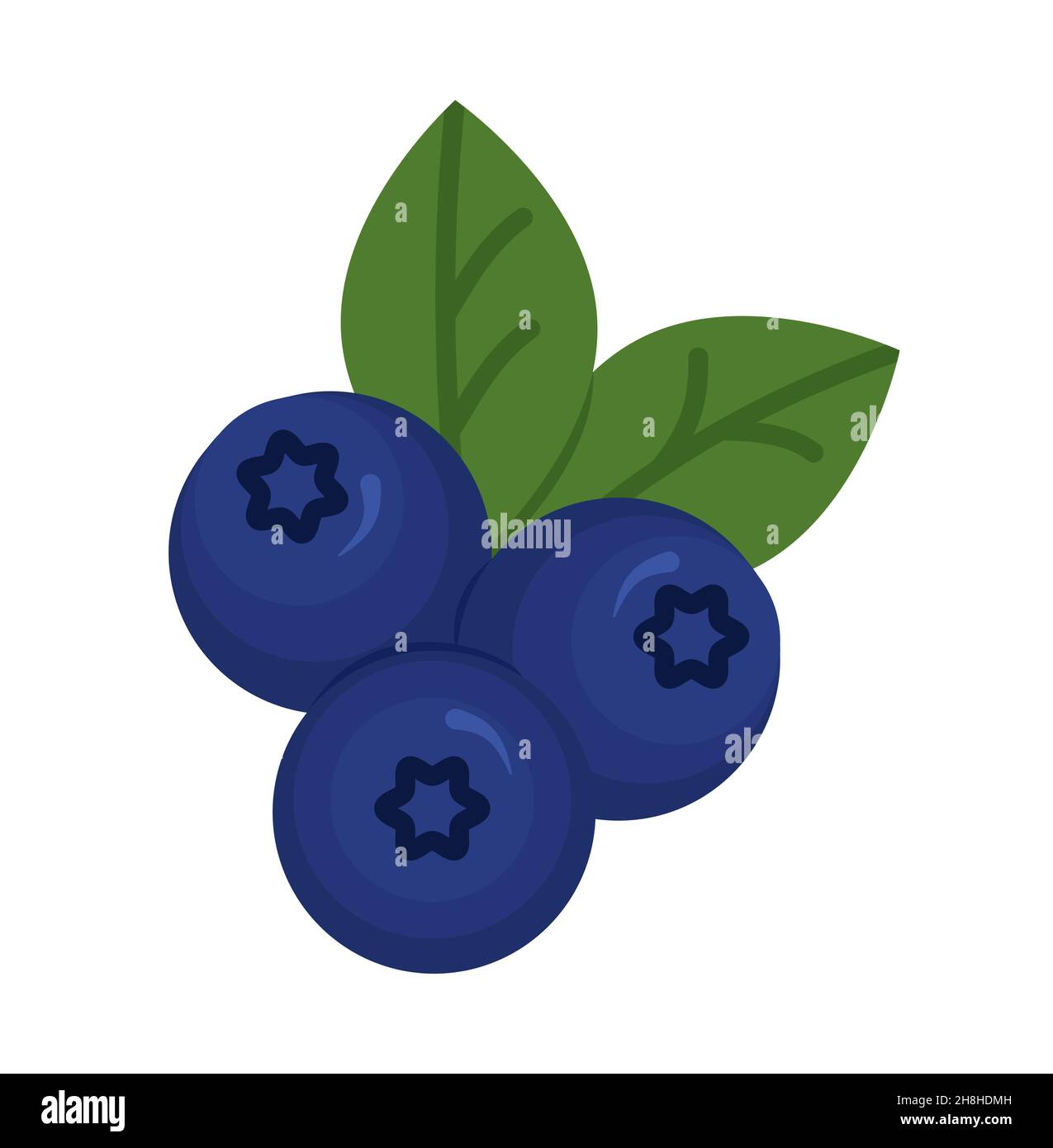 Blueberry vector icon on white background, flat, cartoon style. For web ...