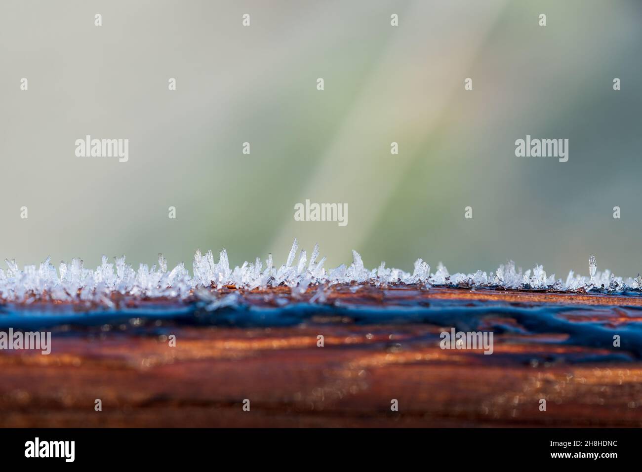 Frost crystals on a tree trunk. Wood covered with natural structure of ...