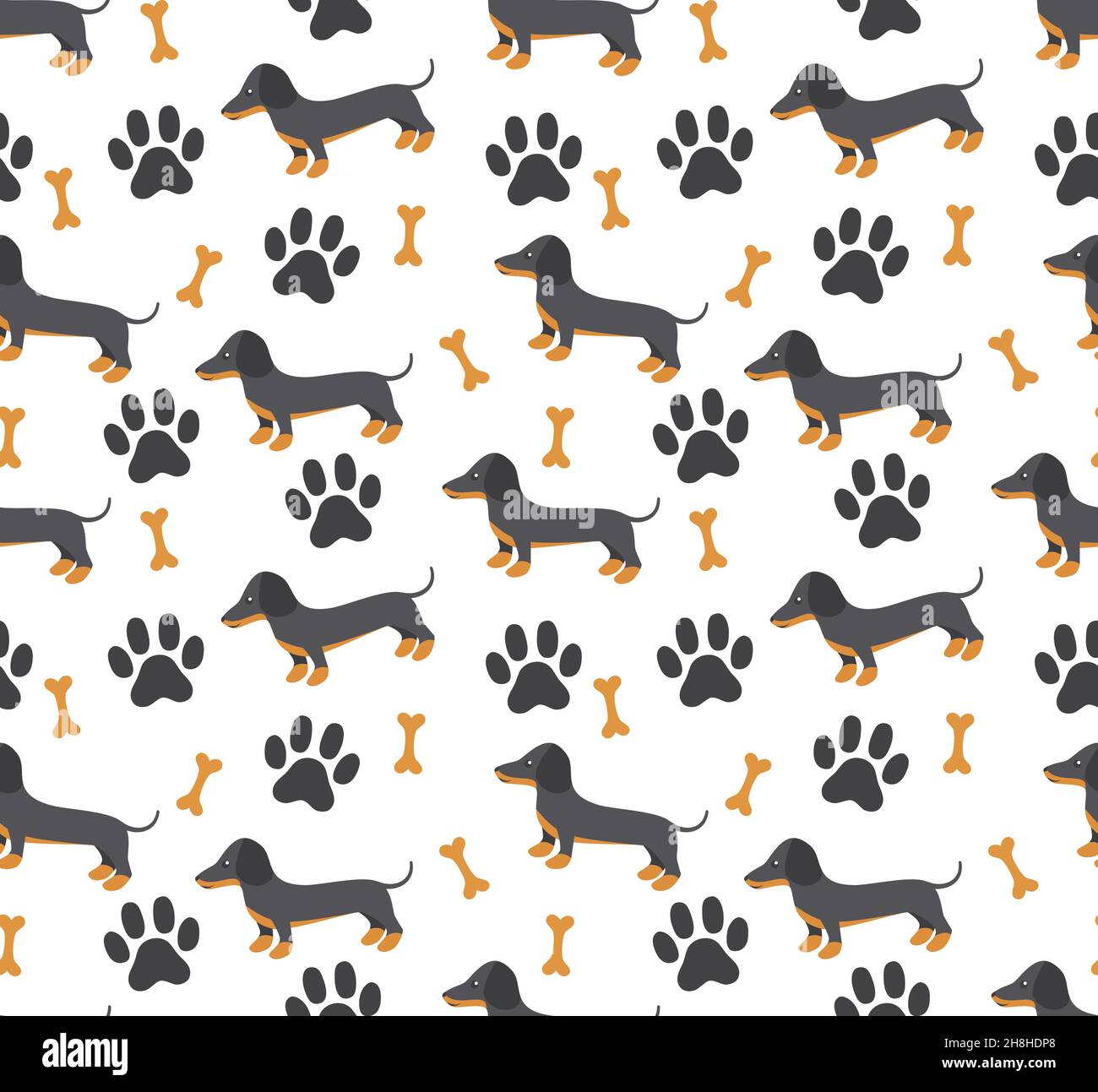 Vector seamless pattern in dachshund for print and web design on white ...