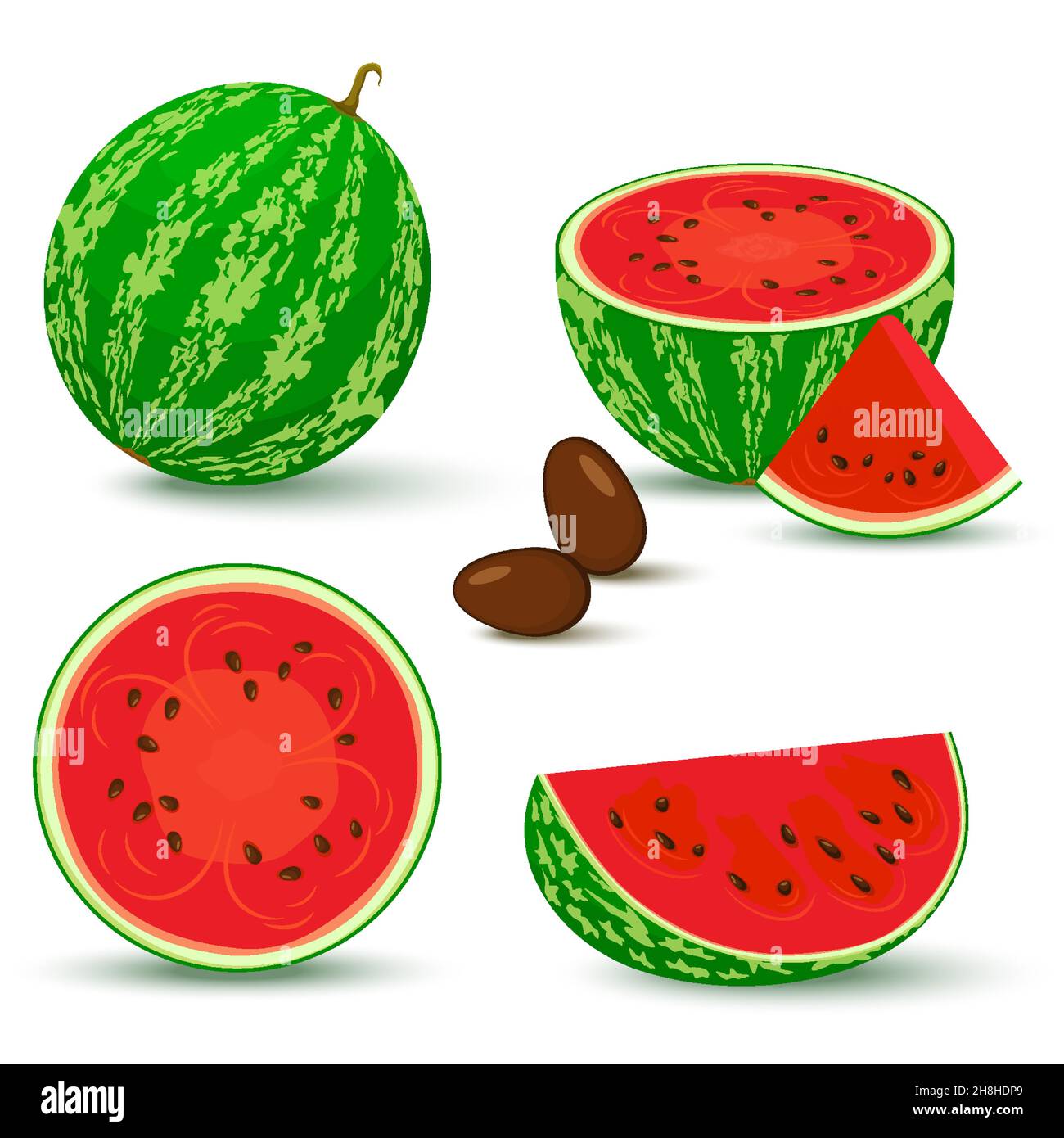 Watermelon vector. Bright vector set of half, whole slice of cut ...
