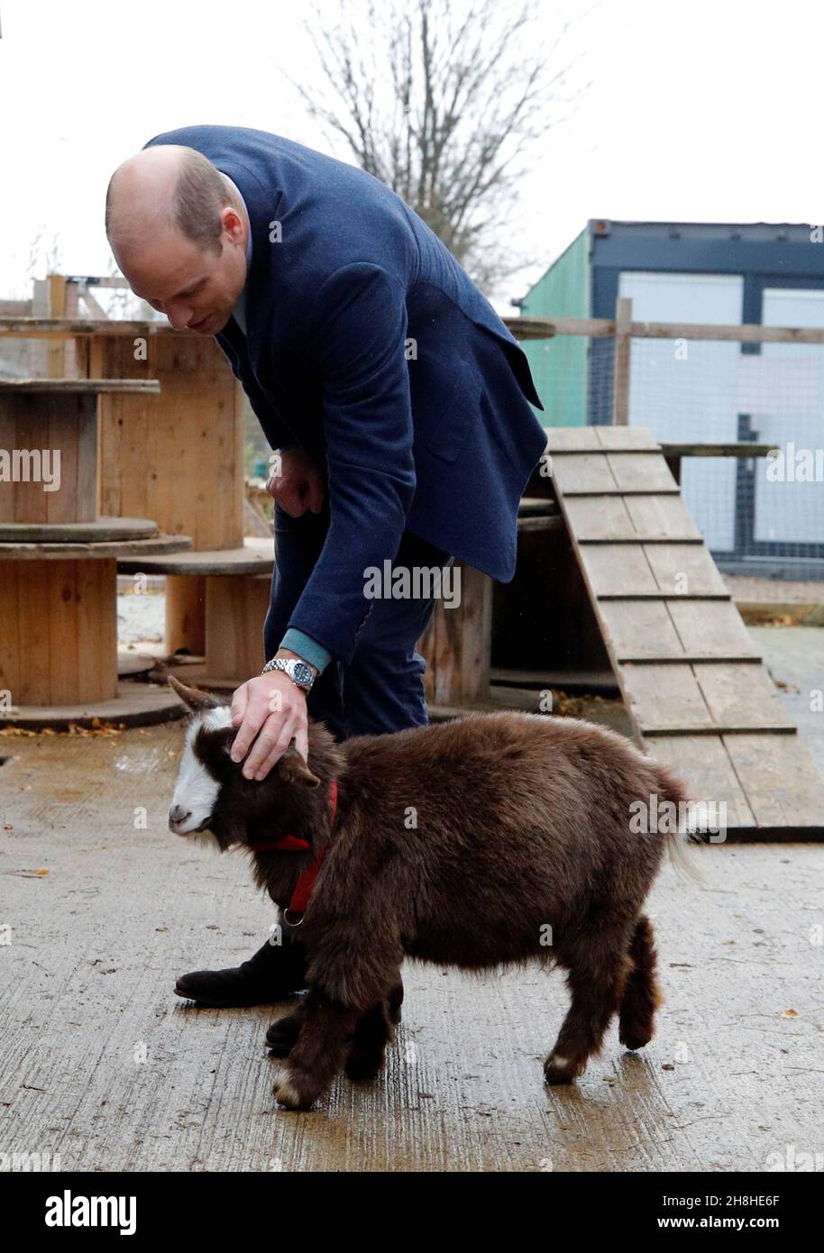 Named hercules hi-res stock photography and images - Alamy