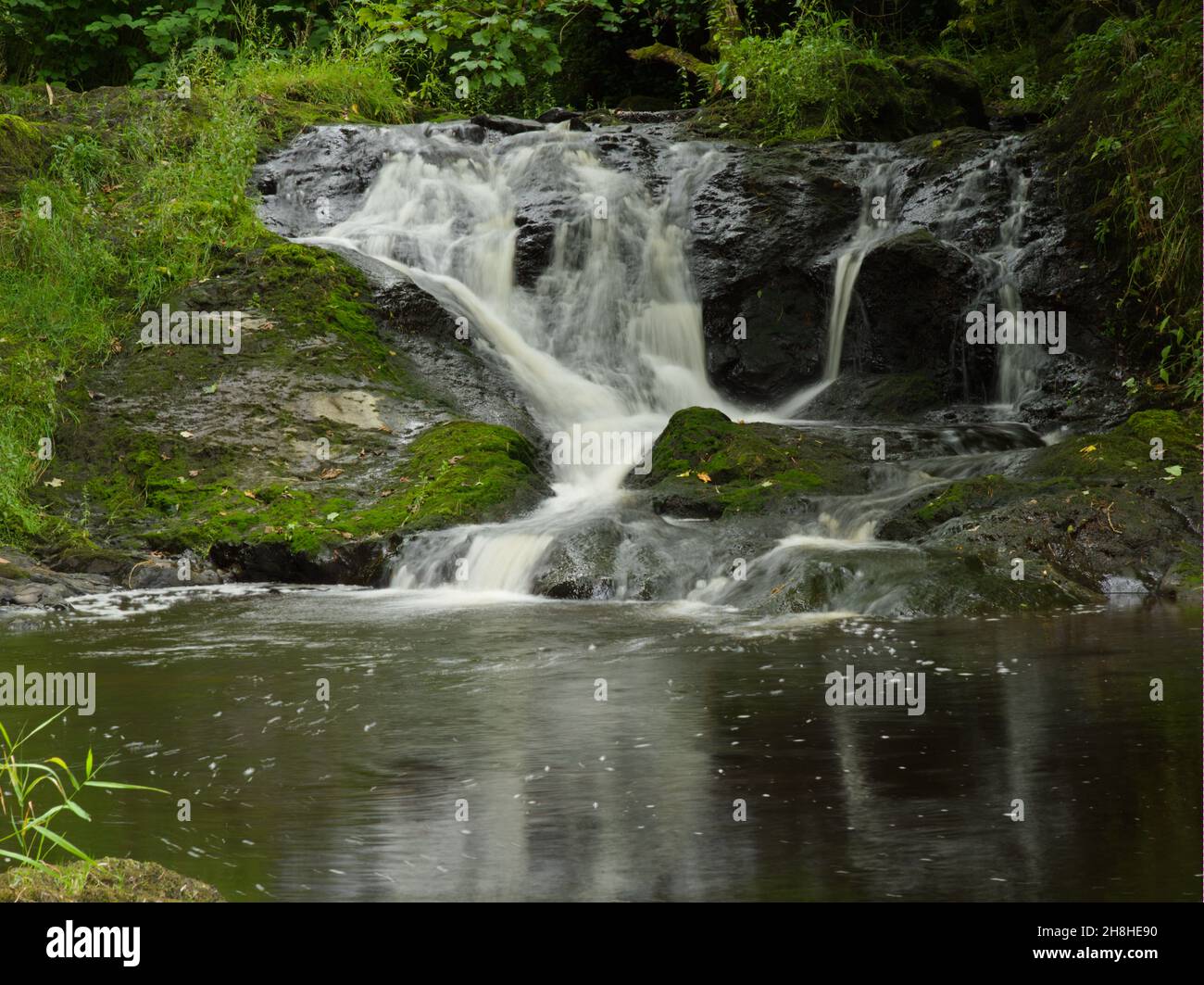 Specticle hi-res stock photography and images - Alamy