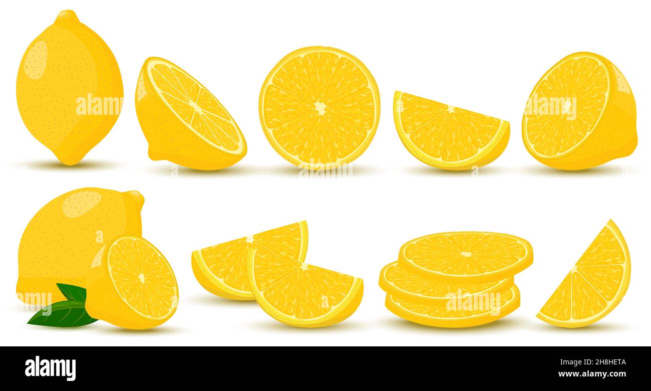 Set of lemons. A whole lemon, half, a piece and a slice of lemon. Fruit ...