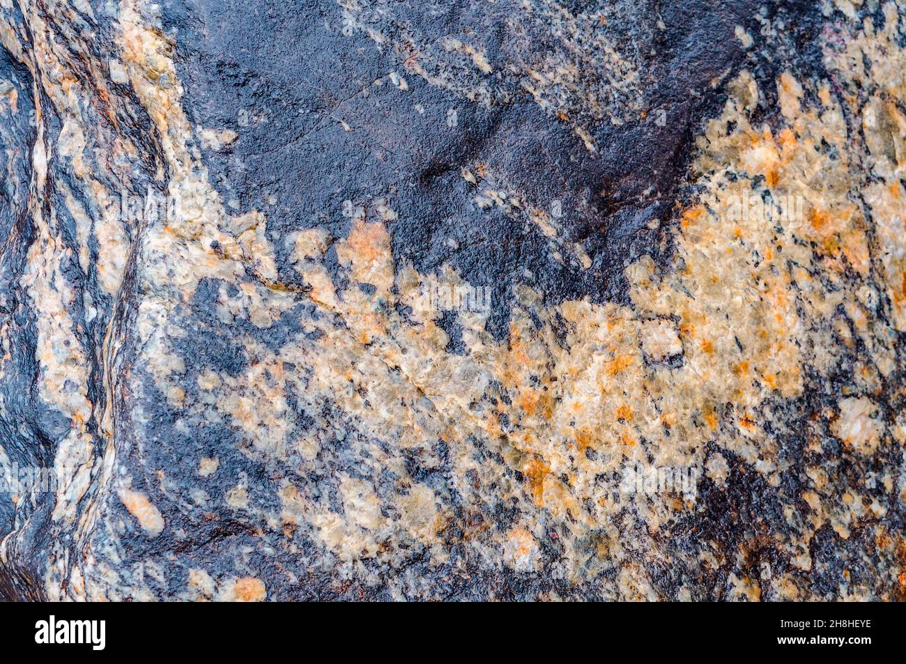 Sea stone texture. Natural stone background. Panel texture. Background ...