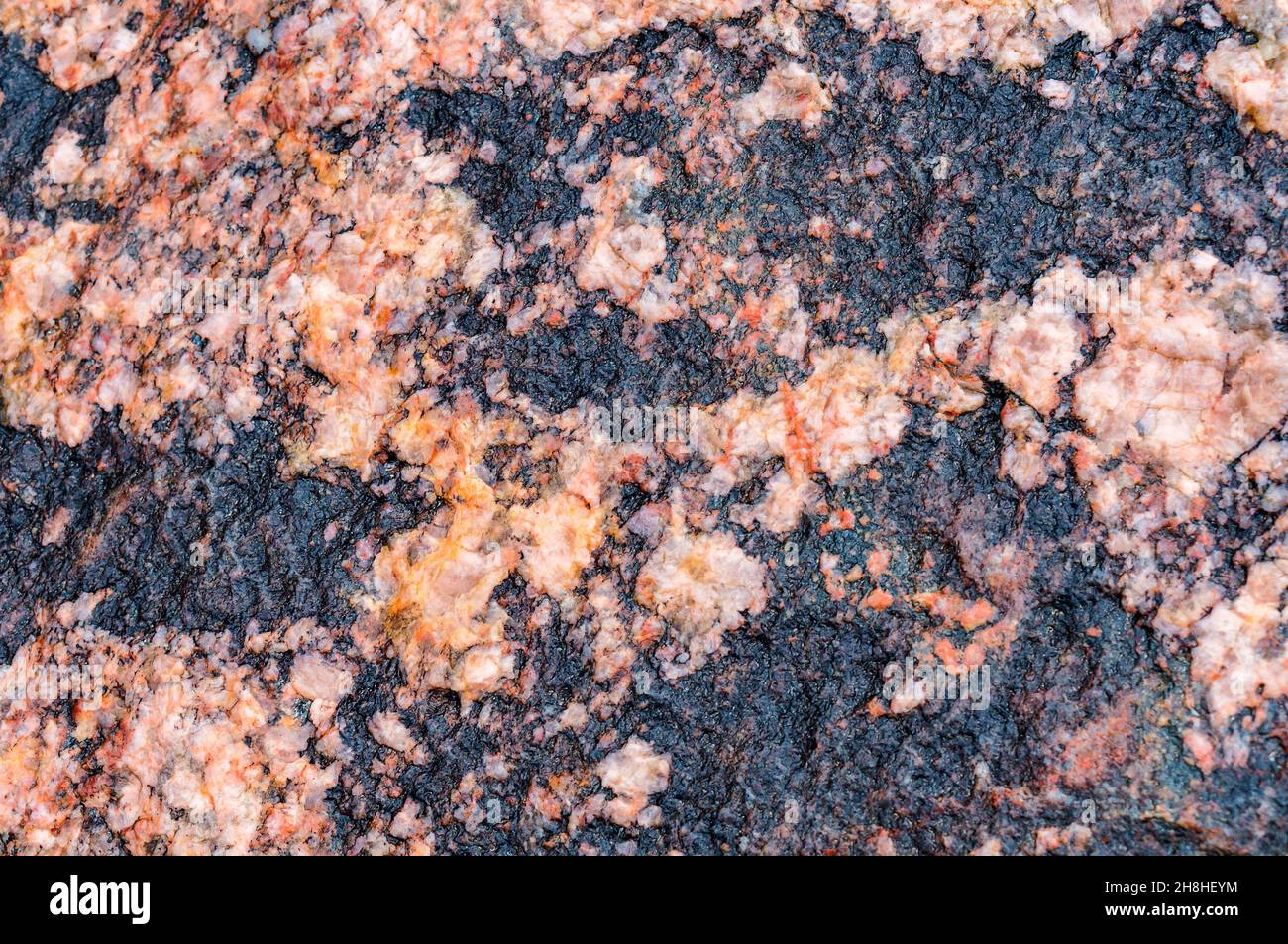 Sea Stone Texture