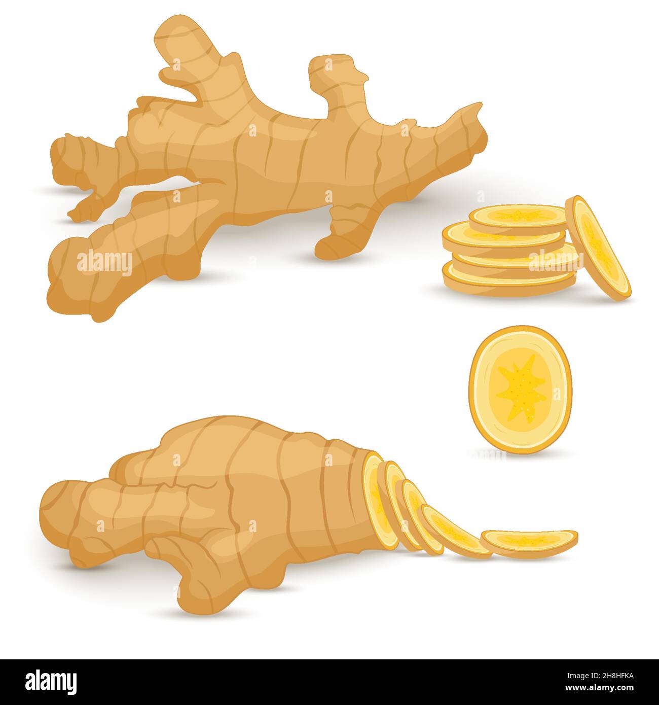Set of fresh ginger root on white background. Vegan food vector icons ...