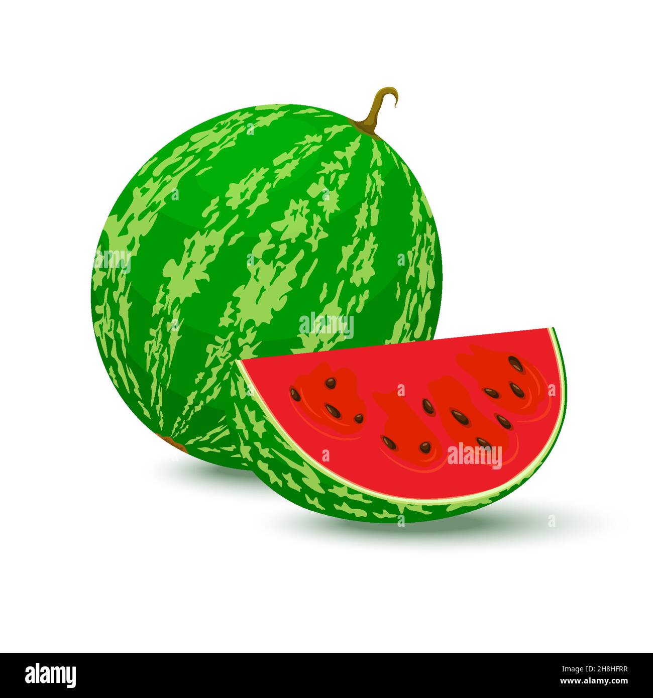 Watermelon vector. Whole watermelon and juicy watermelon slice vector ...