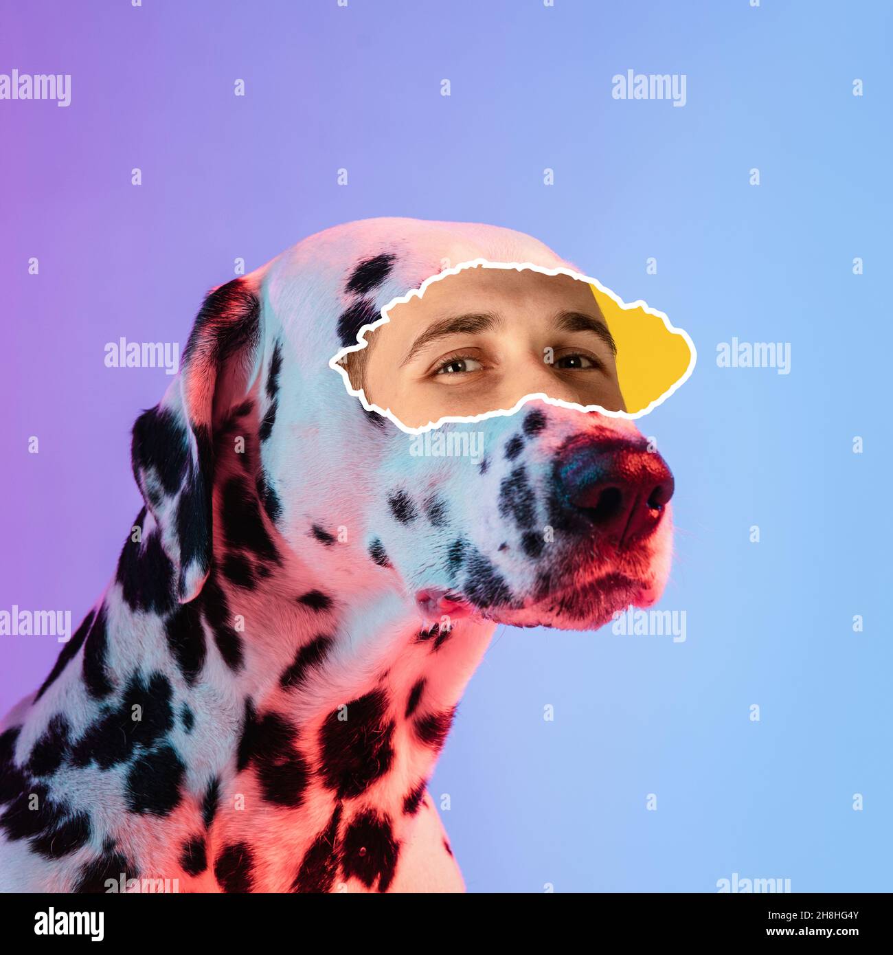 Contemporary art collage of Dalmatian dog with male eye element ...