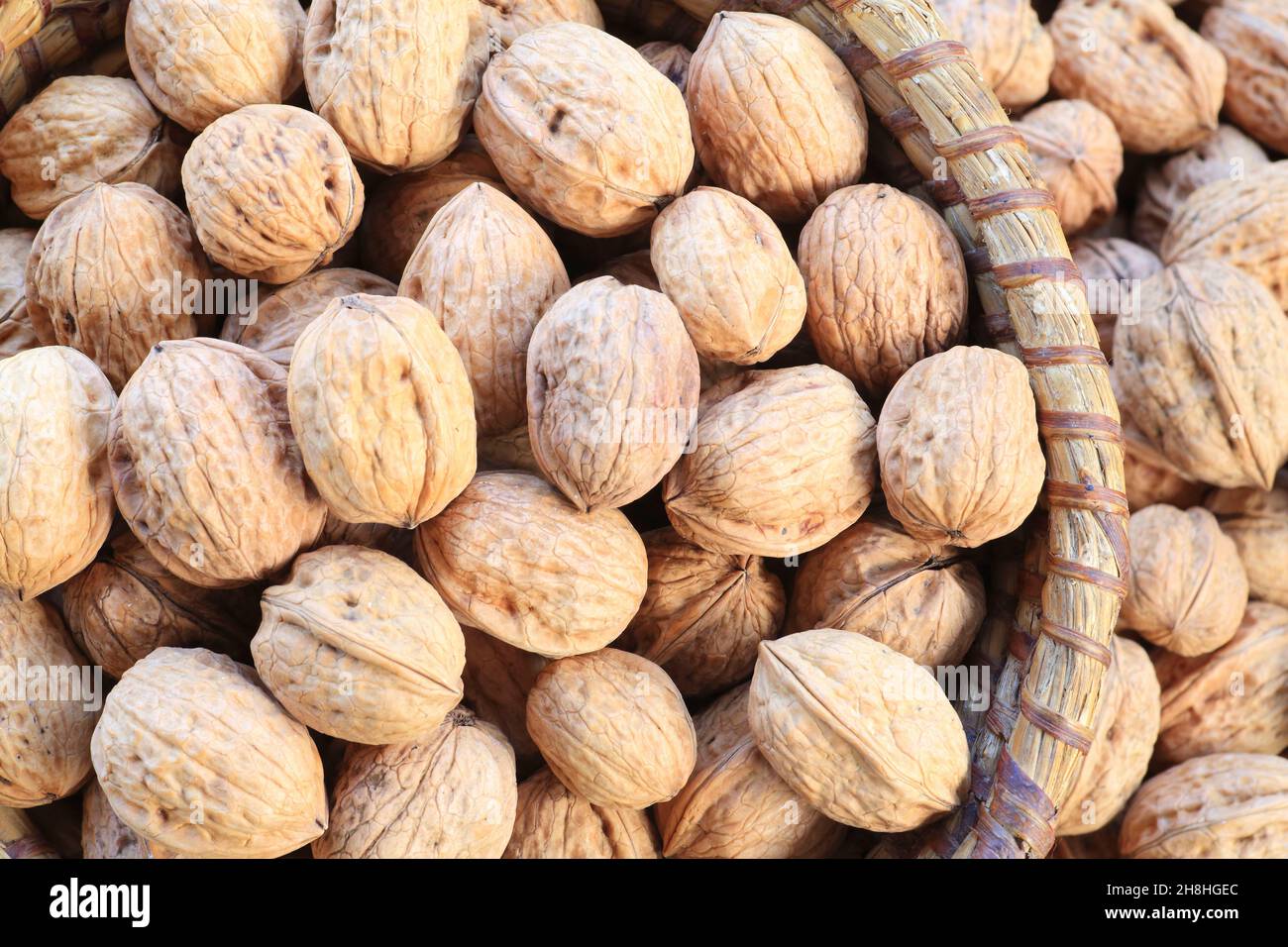 Walnuts pdo perigord hi-res stock photography and images - Alamy
