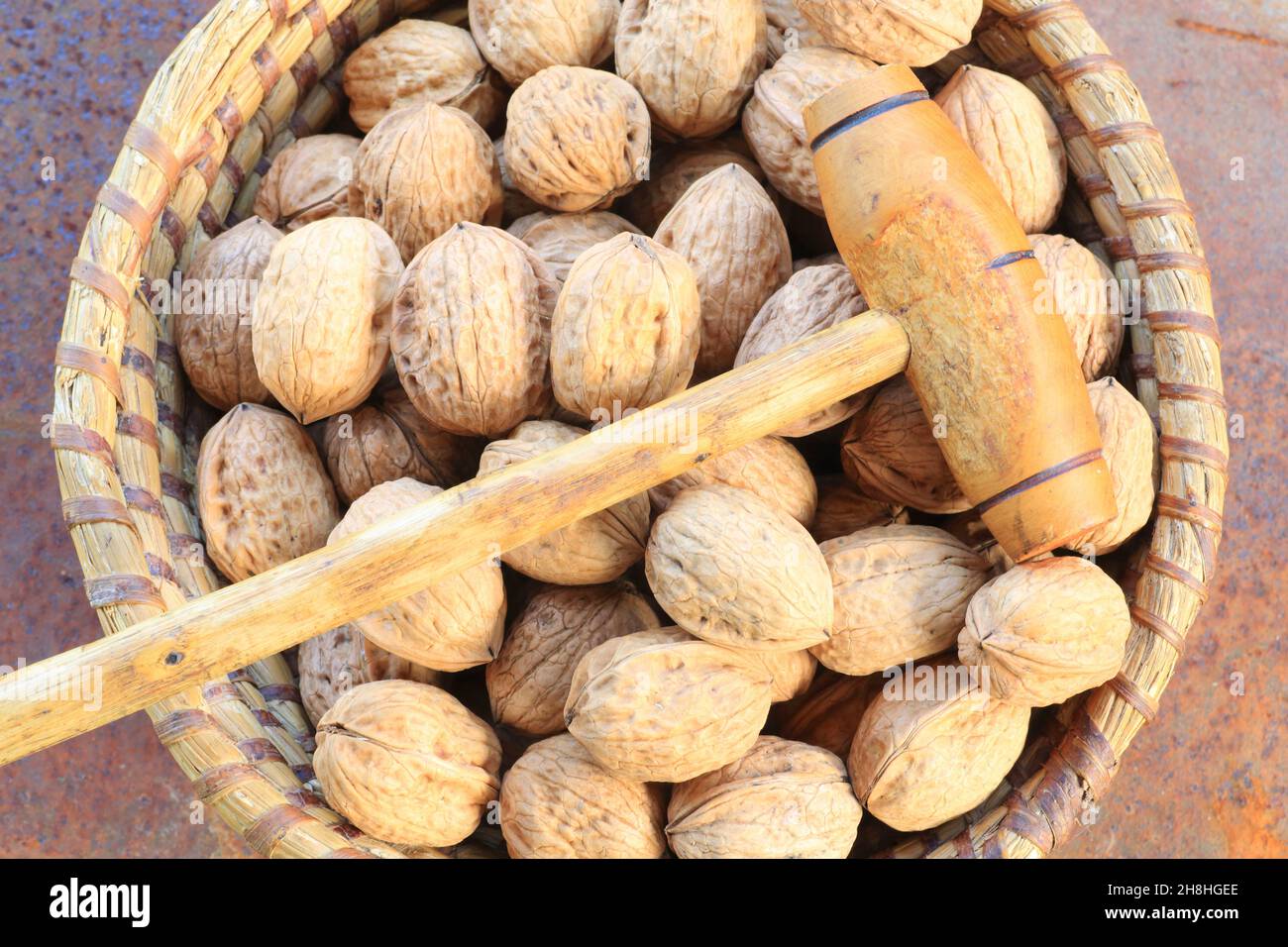 Walnuts pdo perigord hi-res stock photography and images - Alamy
