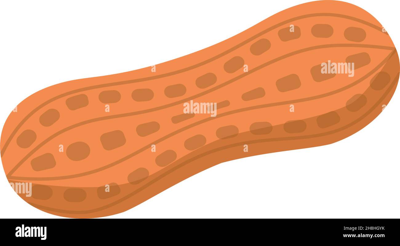 Vector illustration of peanut on white background eps Stock Vector ...