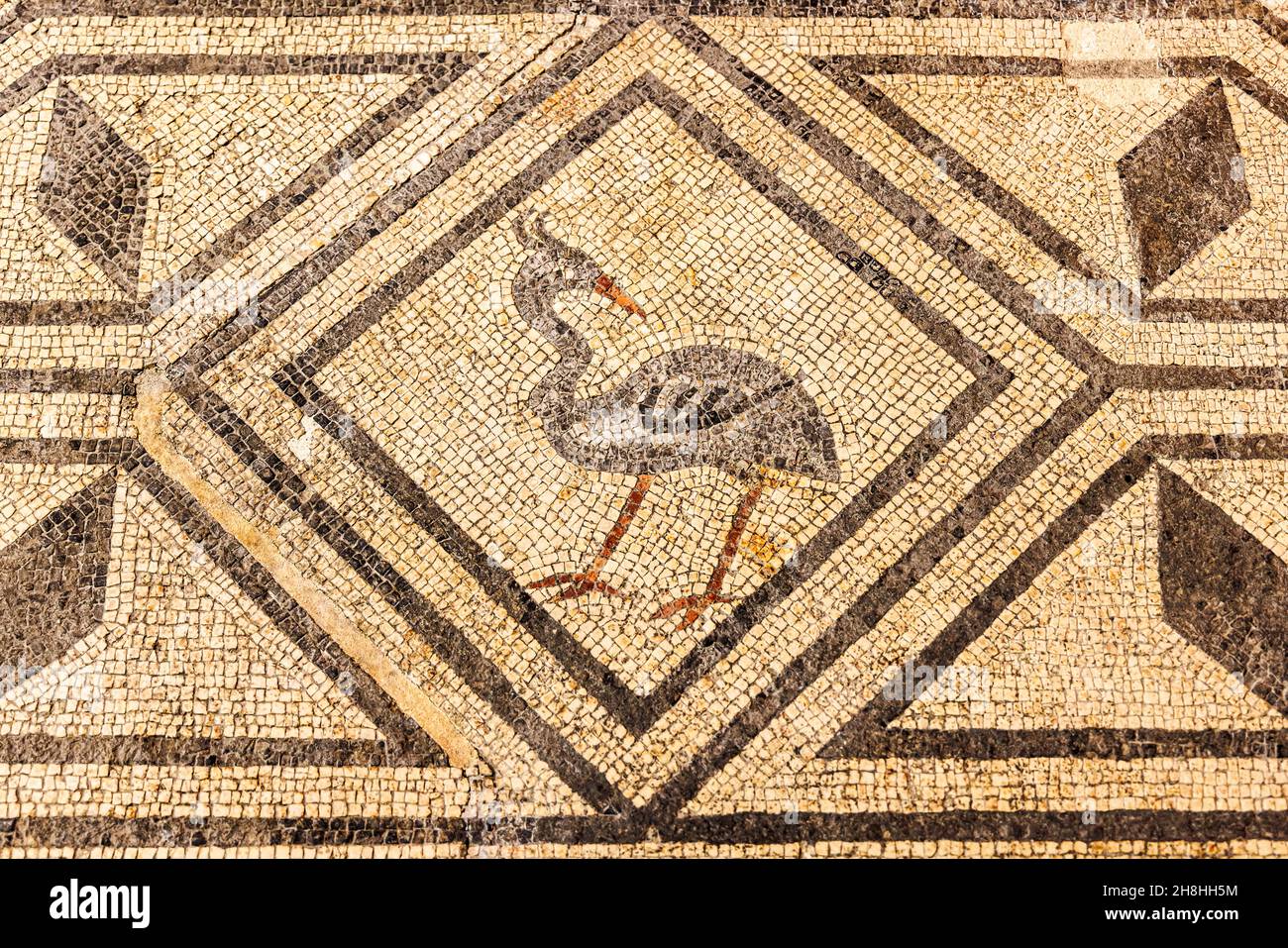 France, Vaucluse, Vaison la Romaine, archeological museum, duck mosaic ...