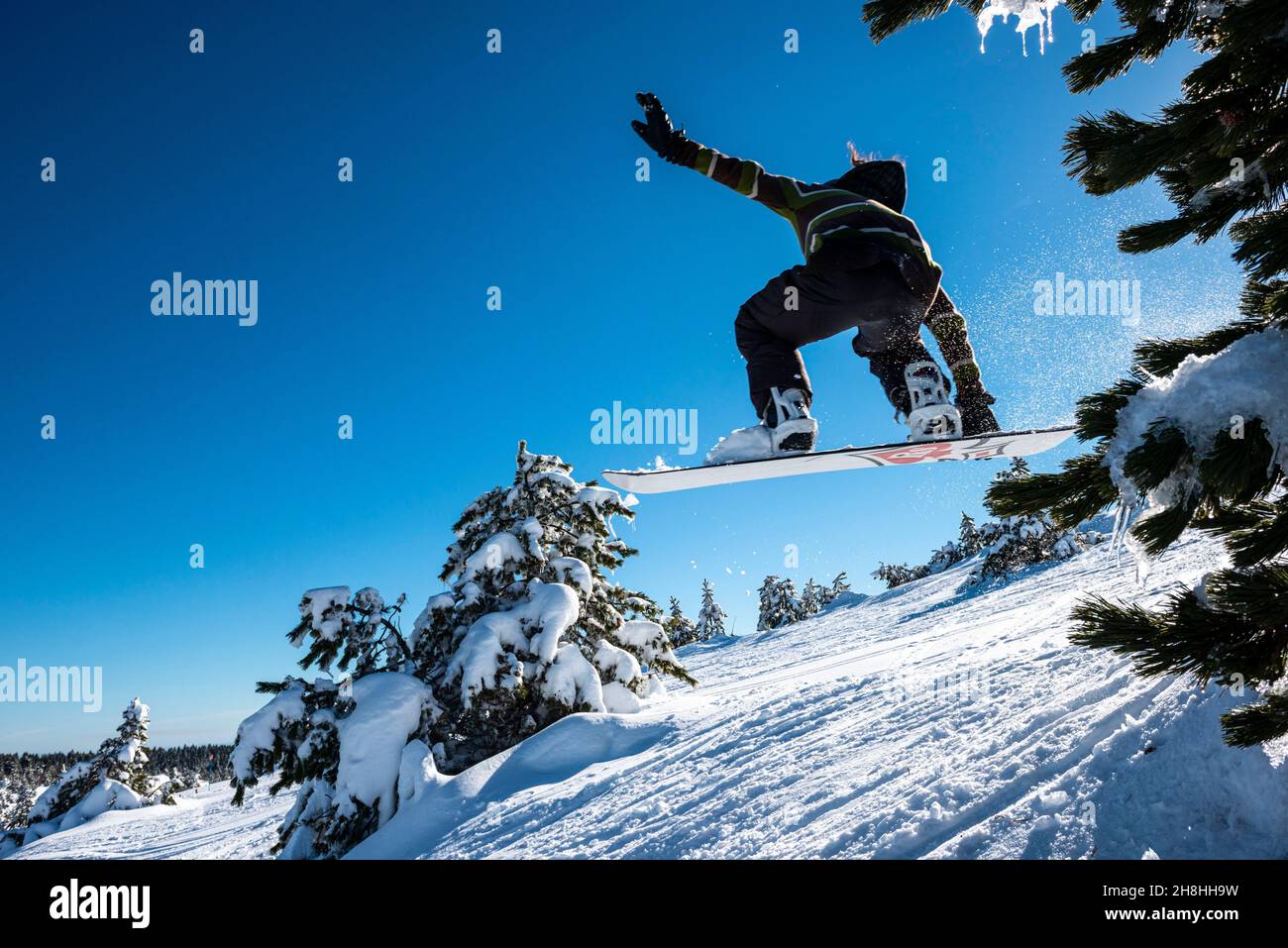France, Ardeche, Parc Naturel des Monts d'Ardeche, Borne, Station de la ...