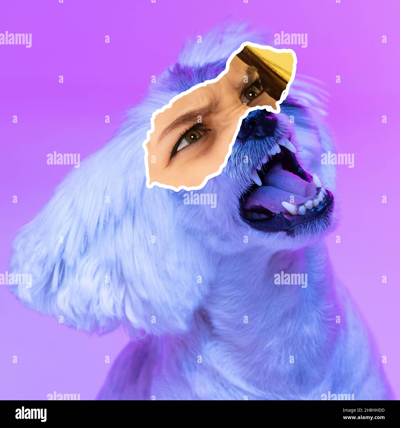 A Real Dog With Swagg