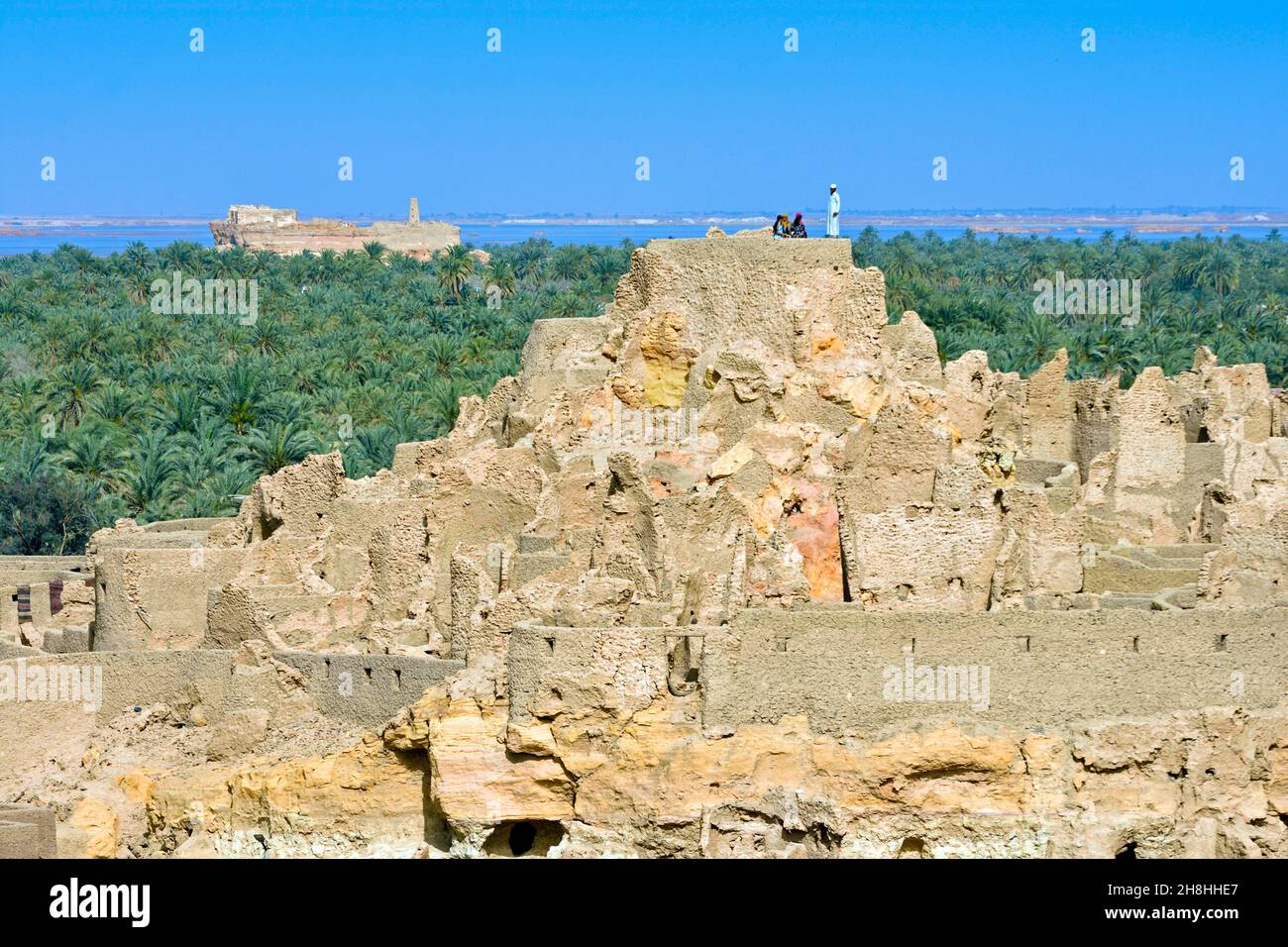 Egypt, Libyan desert, governorate of Marsa Matruh, Siwa oasis, the ...