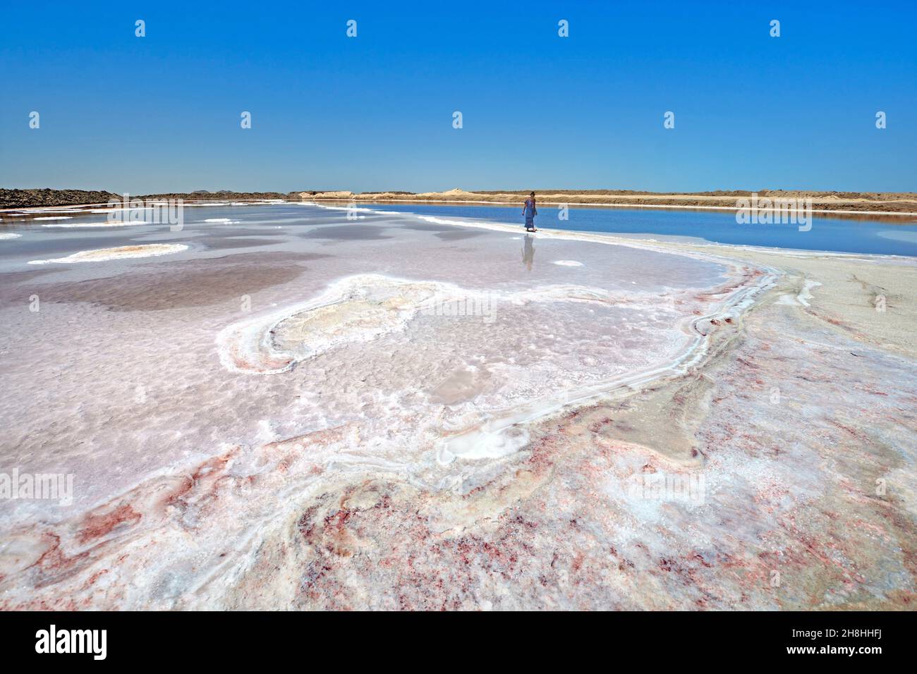 Egypt, Libyan desert, governorate of Marsa Matruh, Siwa oasis, the salt ...