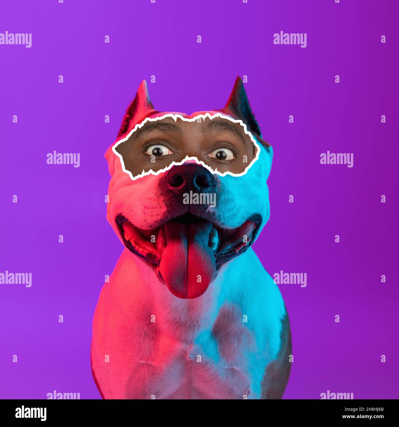 Contemporary art collage of dog with male, human eyes element isolated ...