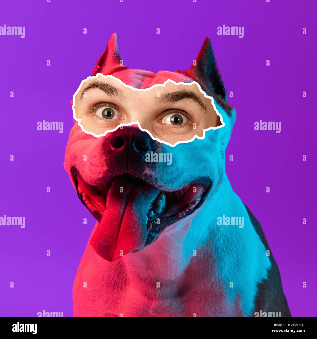 Contemporary art collage of dog with male, human eyes element isolated ...