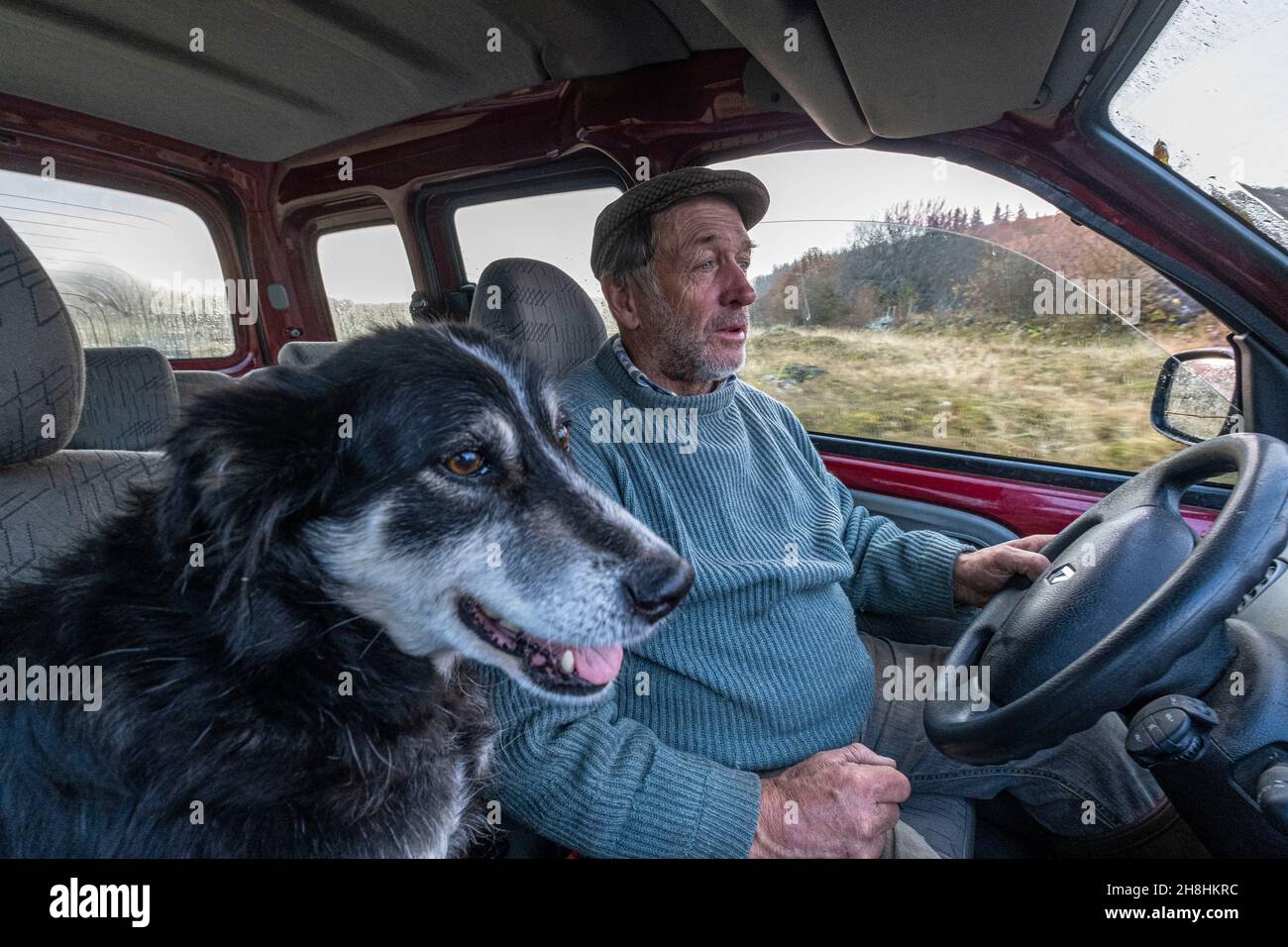 France, Puy de Dome, Chastreix, Le Mont, Rémi Fargeix breeder of Salers ...