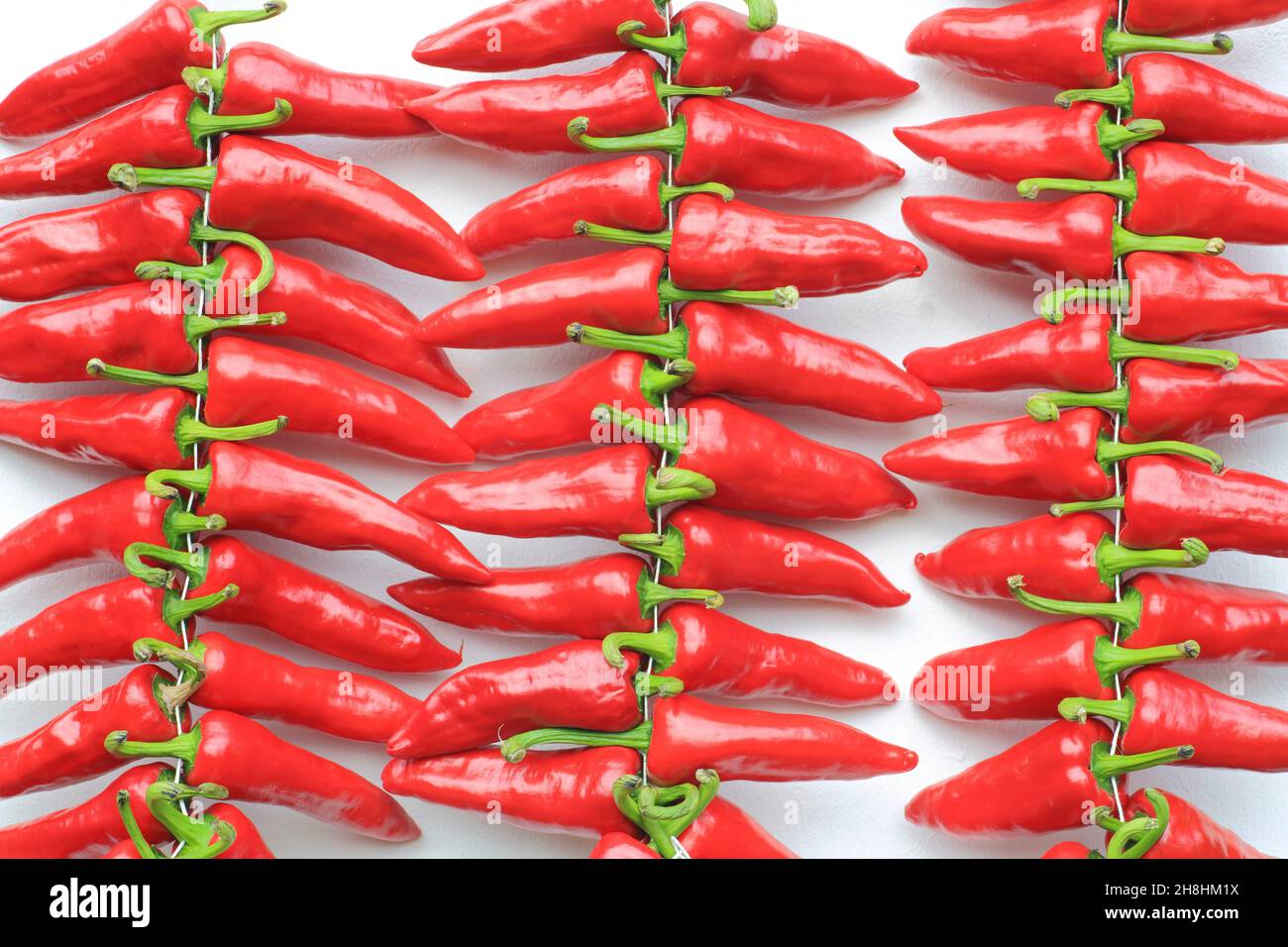 France, Pyrenees Atlantiques, Basque Country, Itxassou, strings of ...