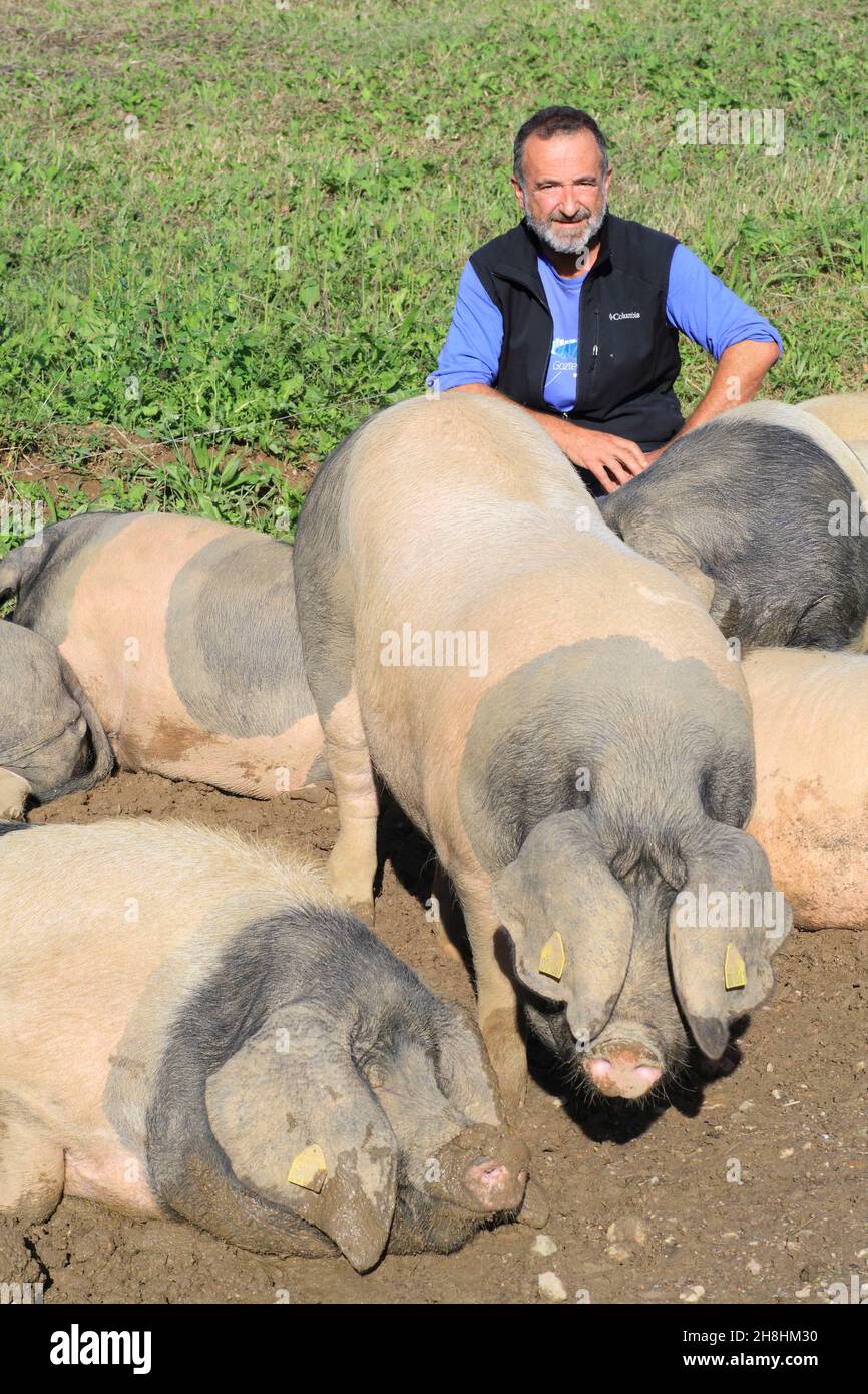 France, Pyrenees Atlantiques, Basque Country, Itxassou, Haranea farm ...