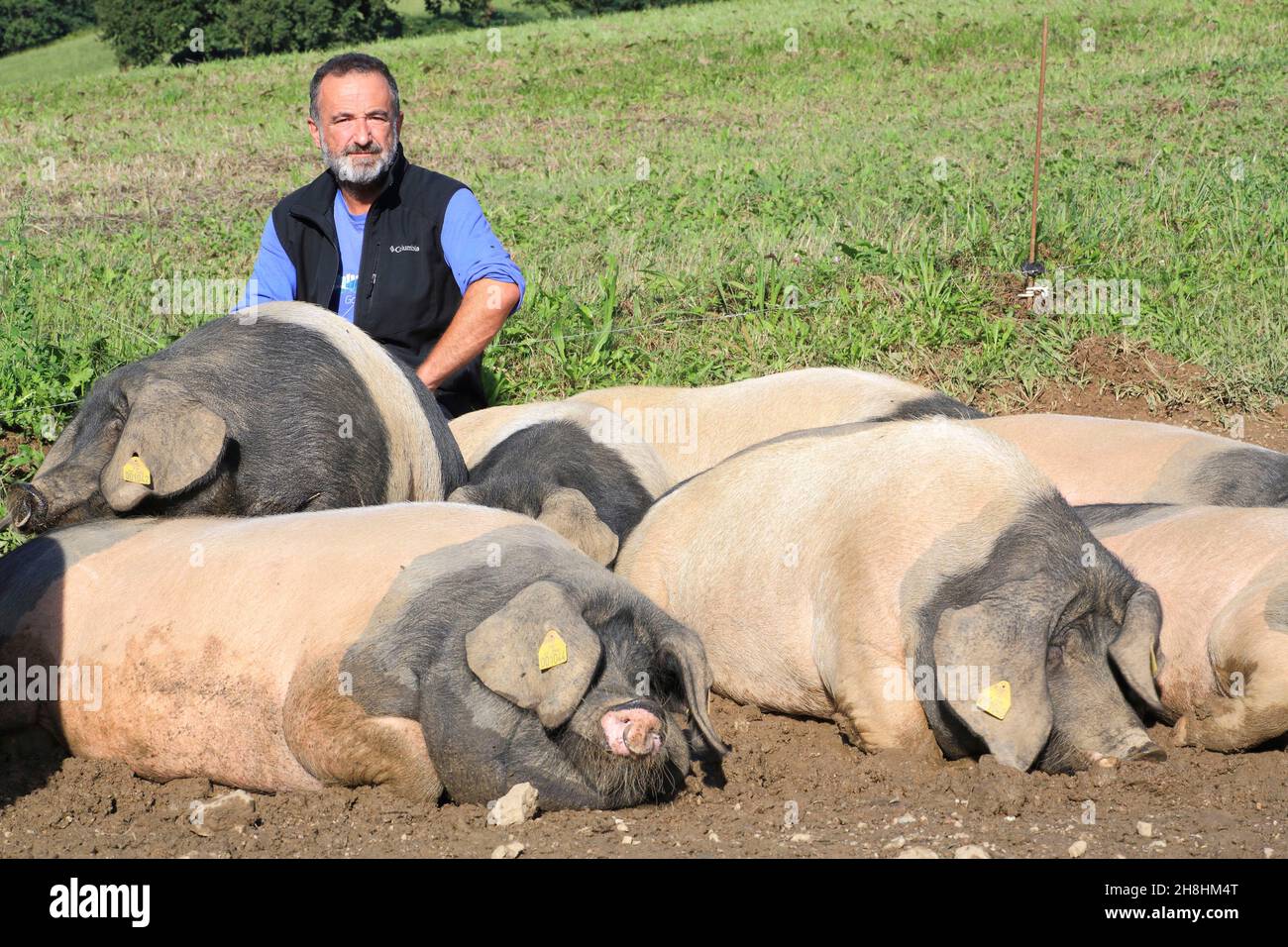 France, Pyrenees Atlantiques, Basque Country, Itxassou, Haranea farm ...
