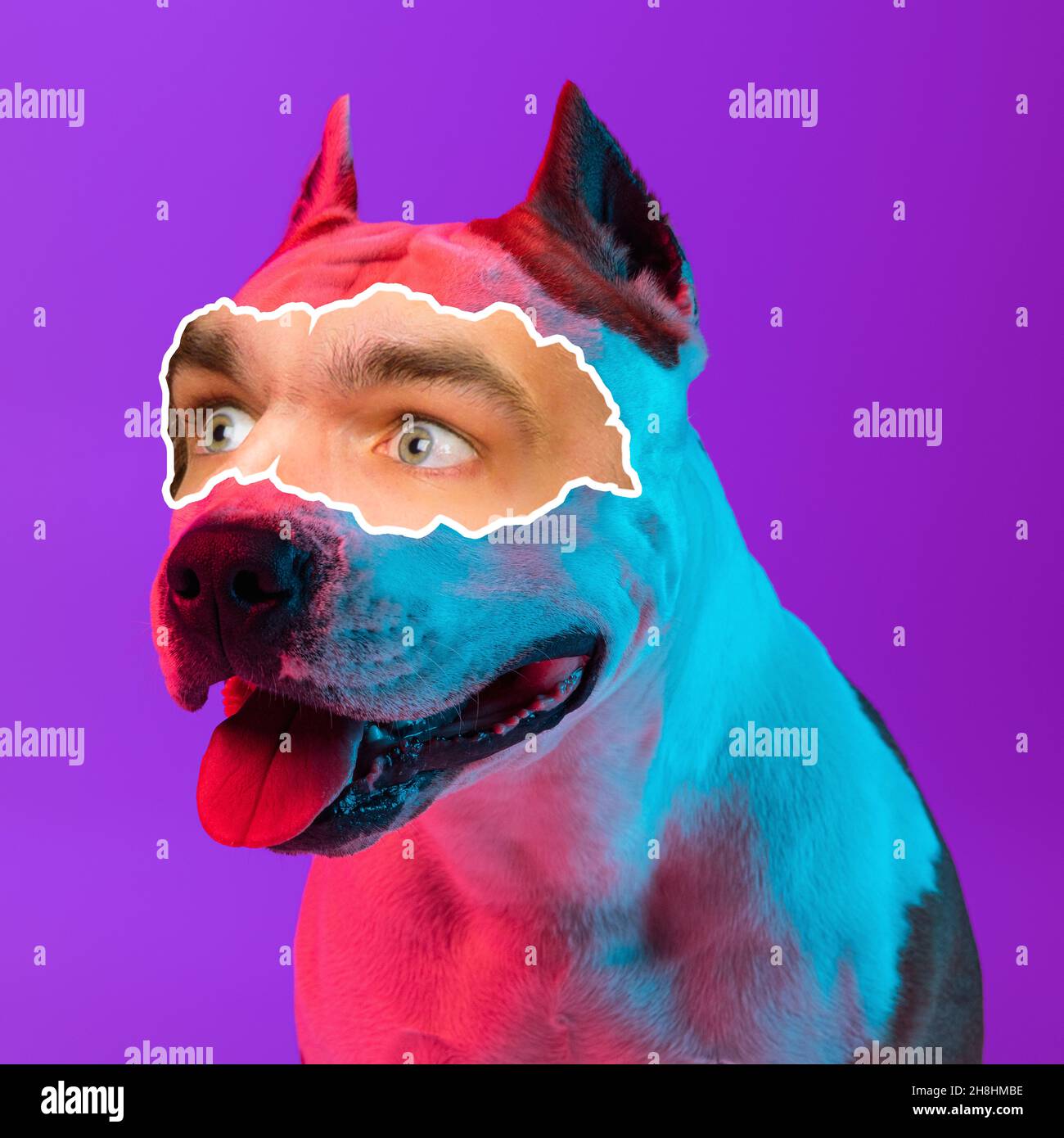 Contemporary art collage of dog with male, human eyes element isolated ...