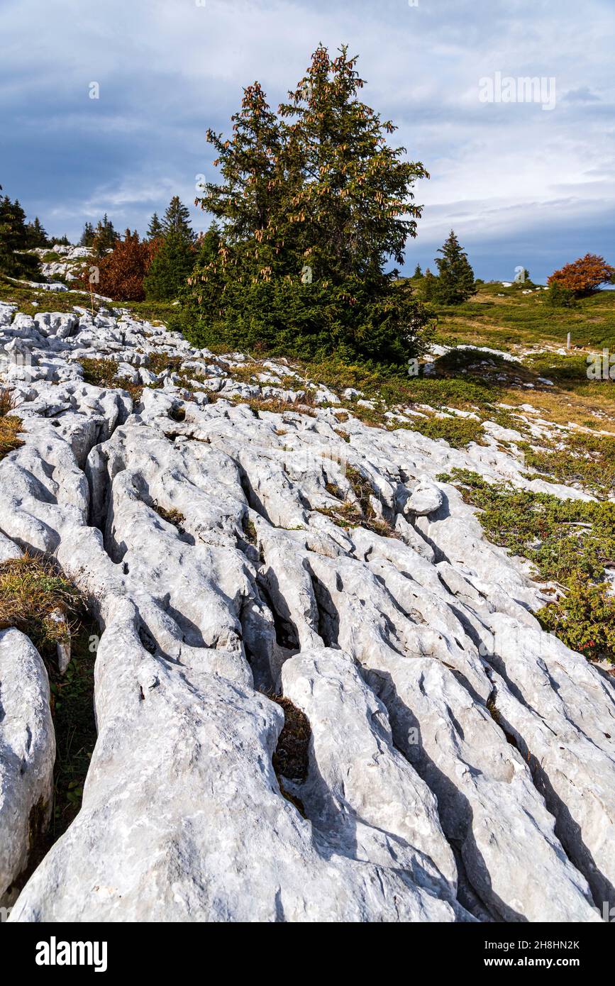 Dissolves rock hi-res stock photography and images - Alamy