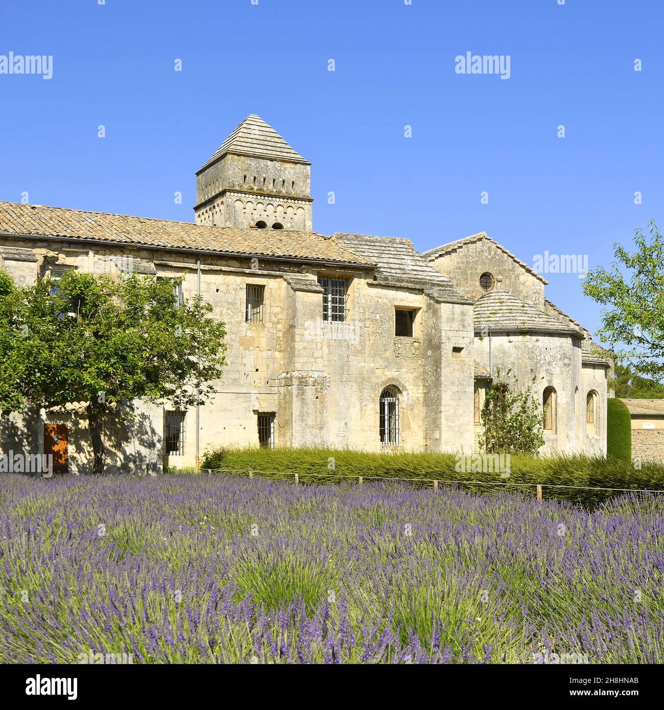 France, Bouches du Rhone, Regional Natural Park of the Alpilles, Saint ...