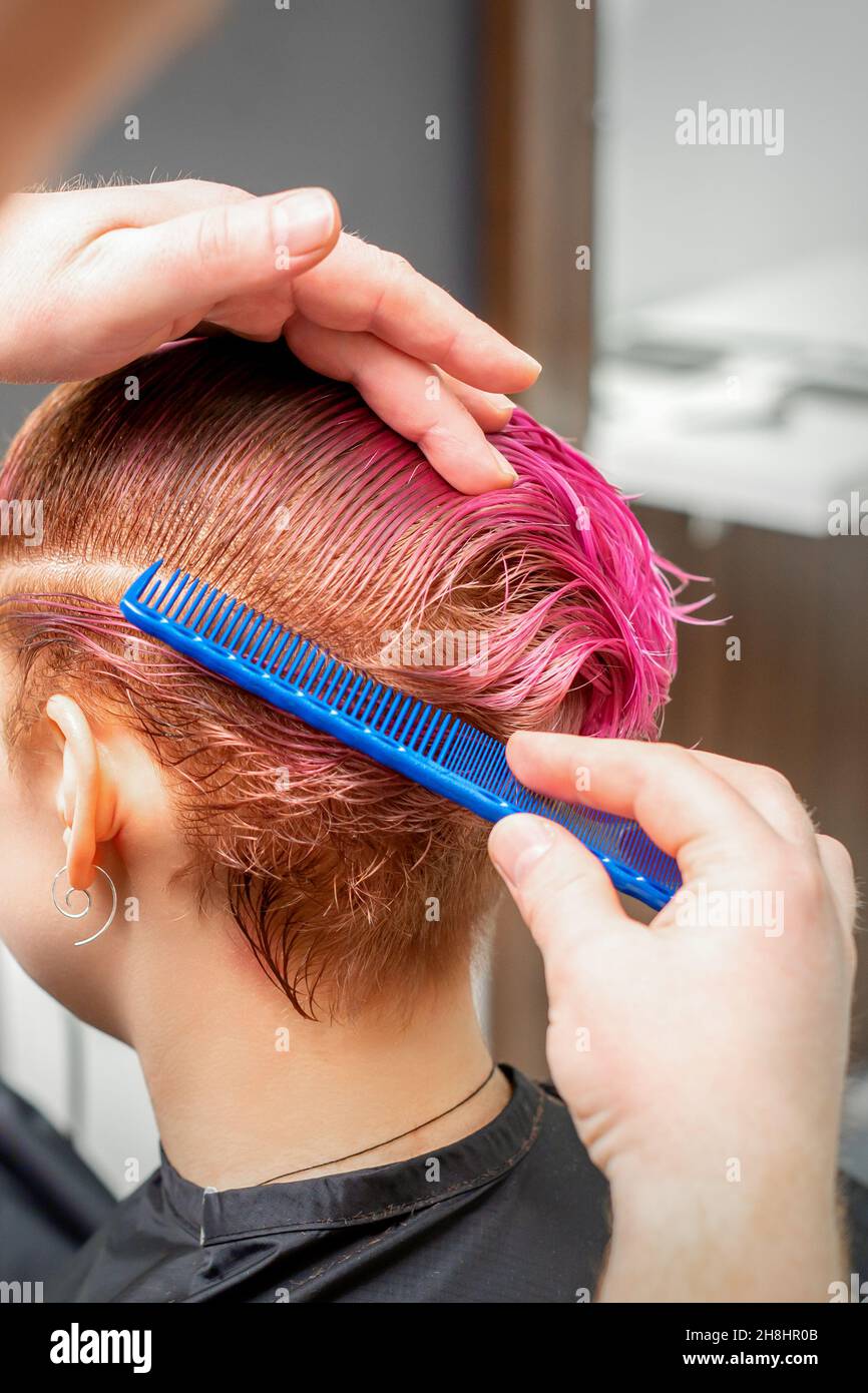 Combing the hair of a young woman during coloring hair in pink color at ...